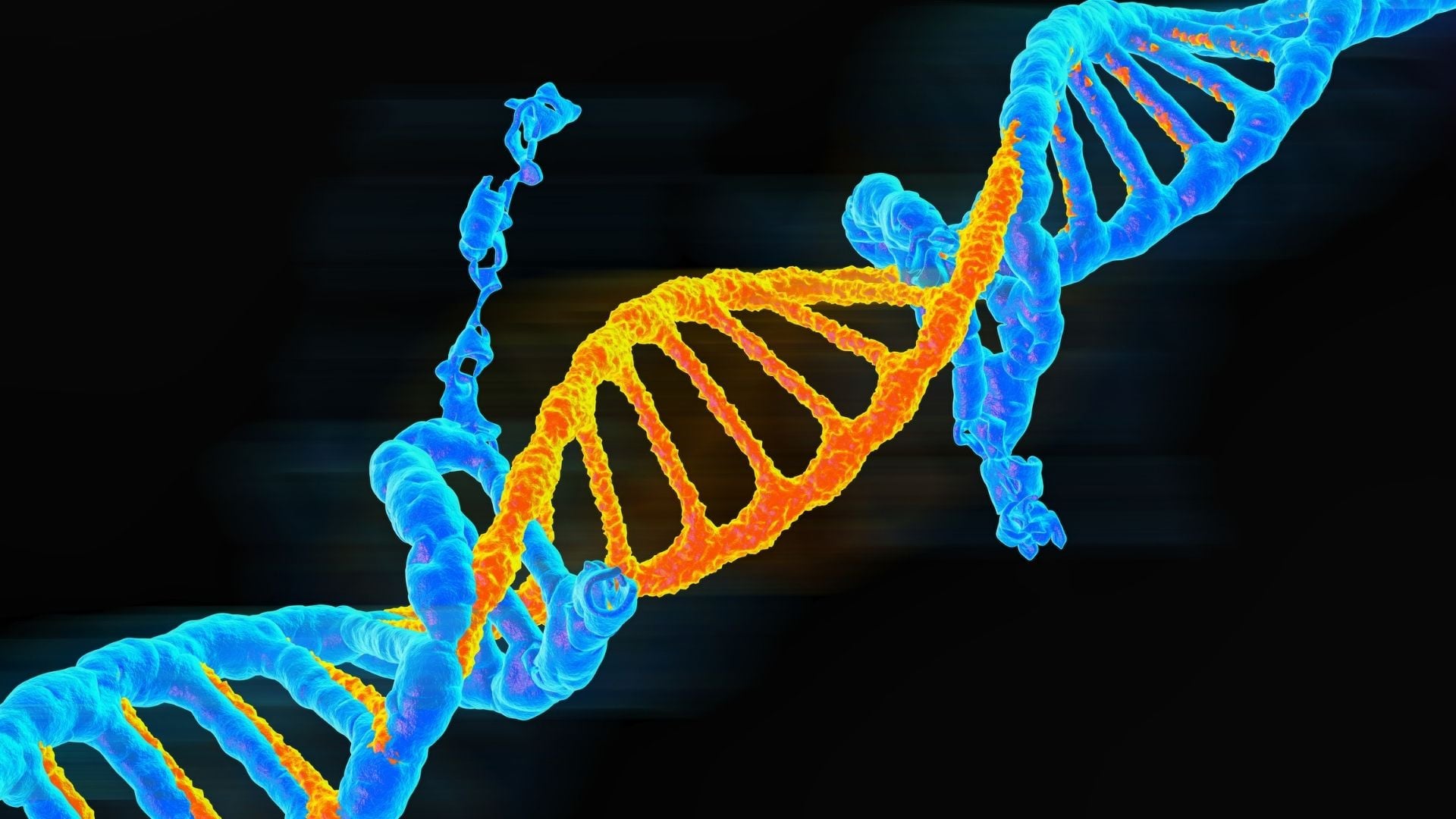 A recently discovered law of physics could help predict genetic mutations