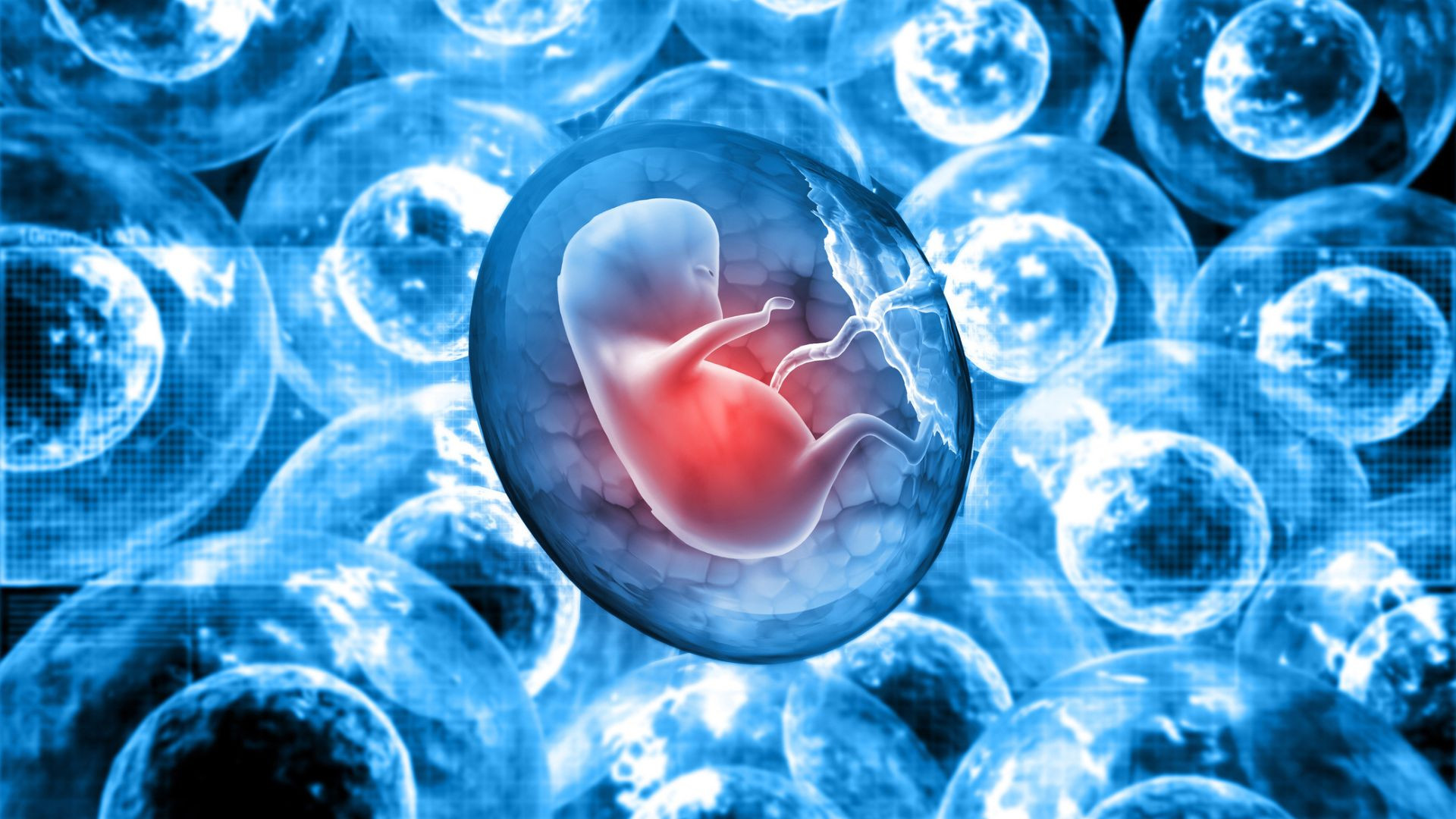 Study reveals how babies born from 3 parents are surprisingly similar ...