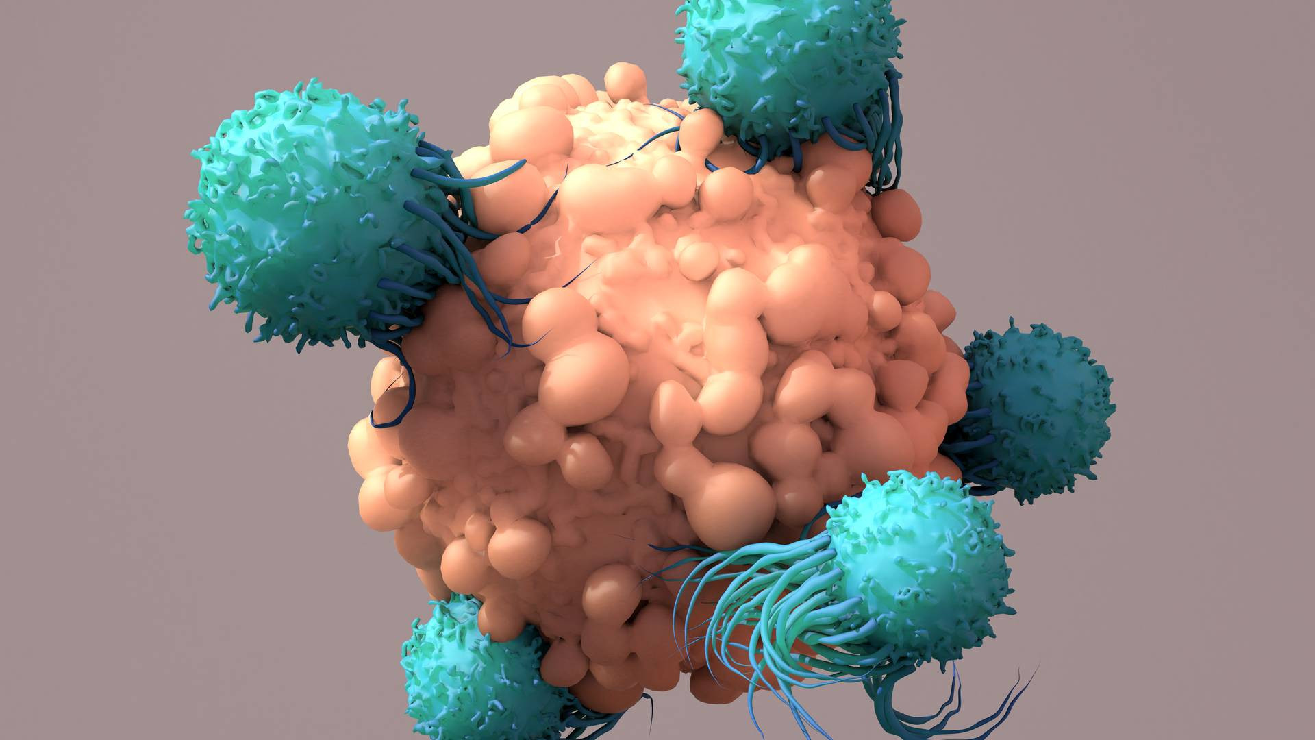 Protein-eating cancer cells can be made to starve themselves, research ...