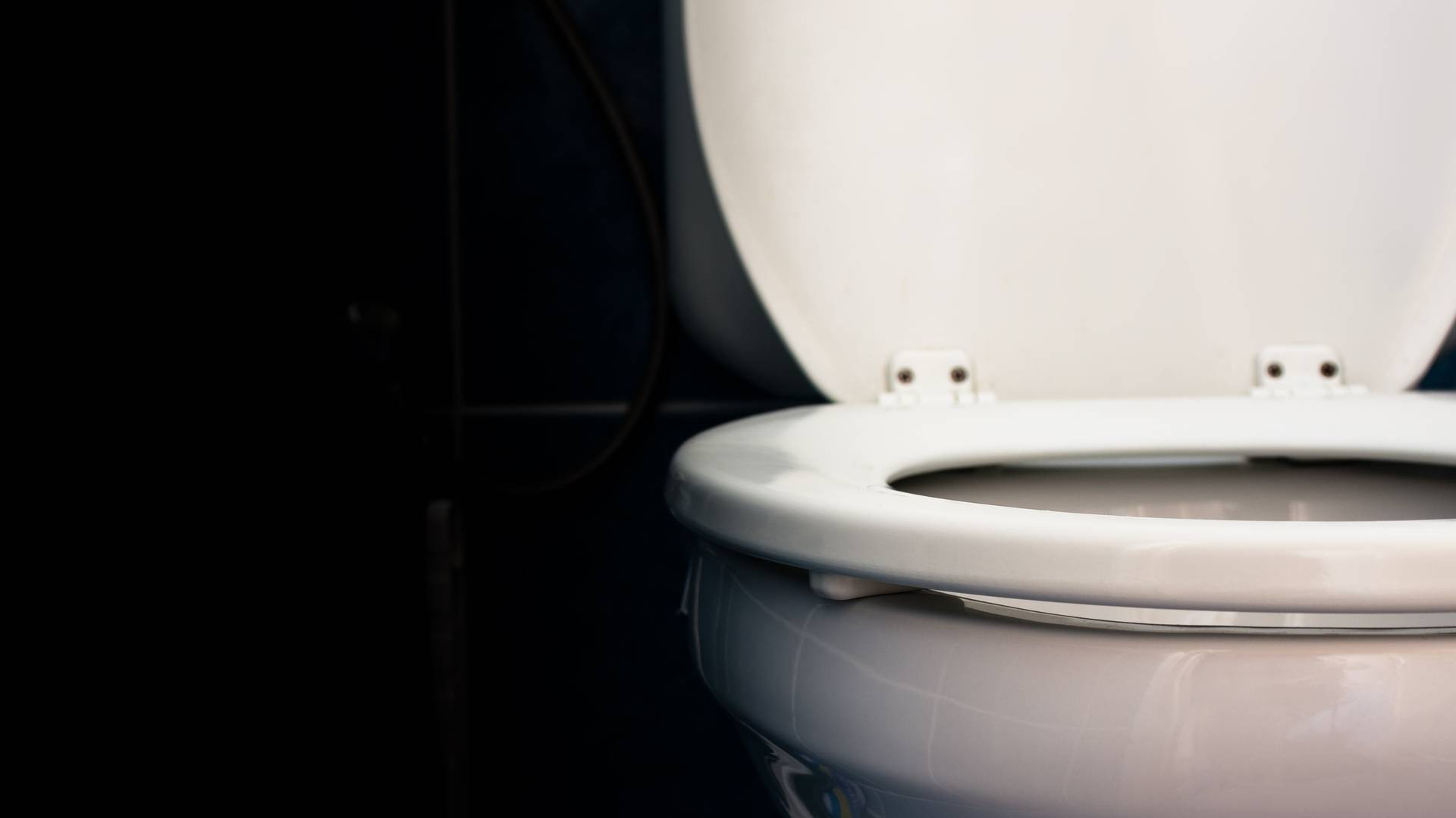 Bill Gates' and Samsung's prototype toilet can turn your poop into ashes