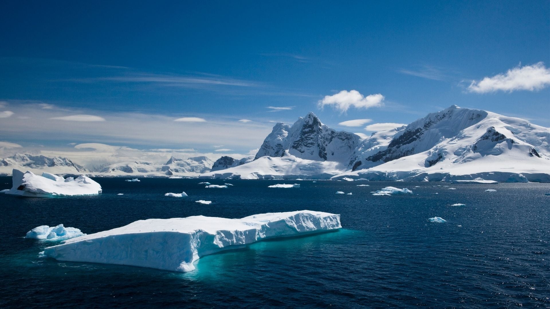 A new method helped find million-year-old marine DNA in Antarctica ...