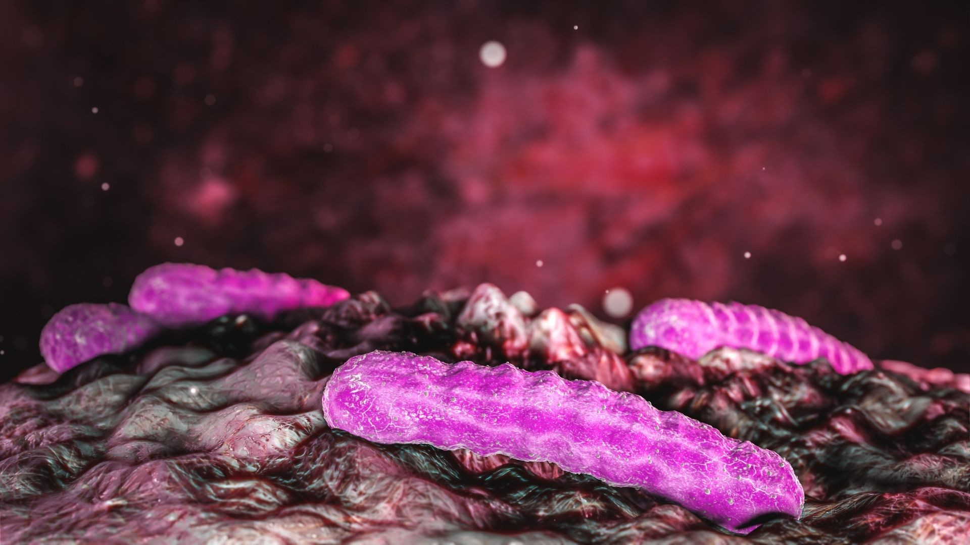 Nicotine-degrading bacteria can save humans from smoking-related diseases