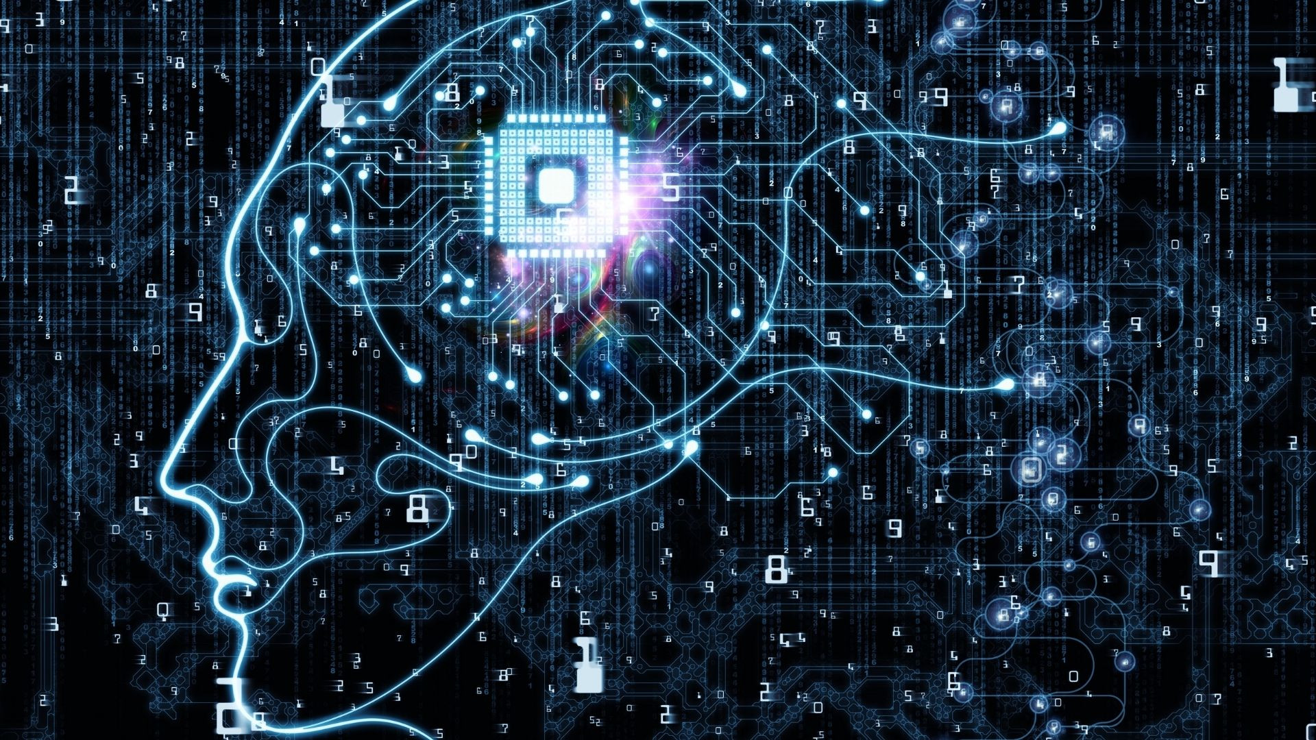 Our brains could use quantum computation - here's how