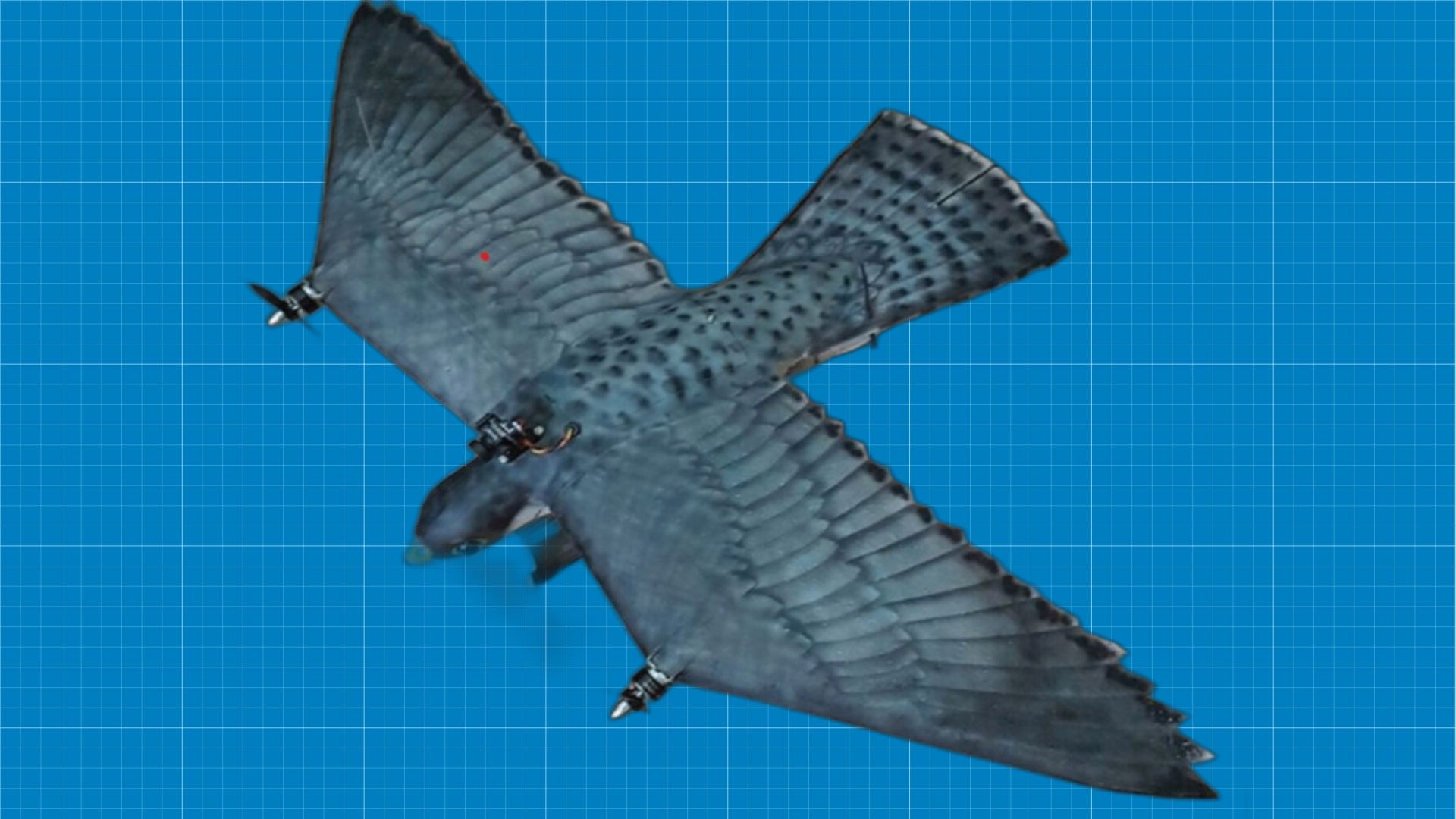 Meet RobotFalcon: Built for chasing off flocks of birds around airports