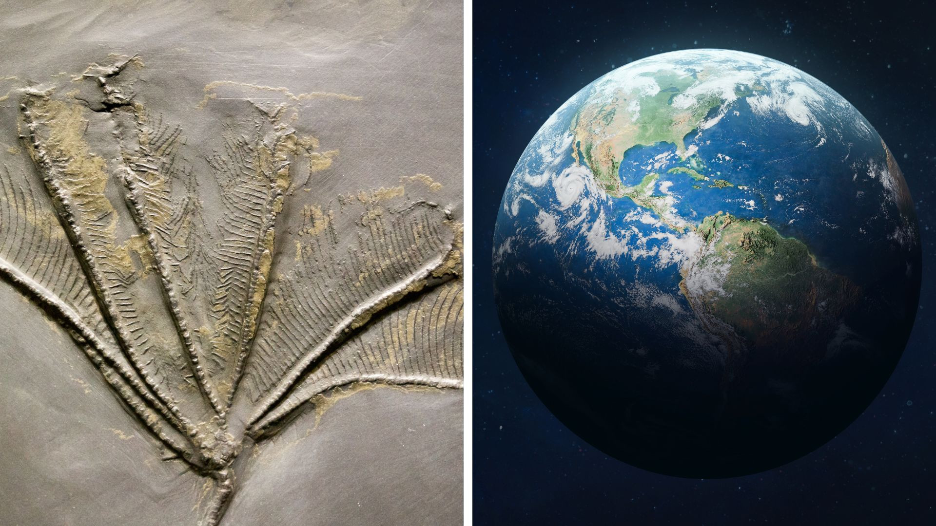 Earth 21000 Years Ago
