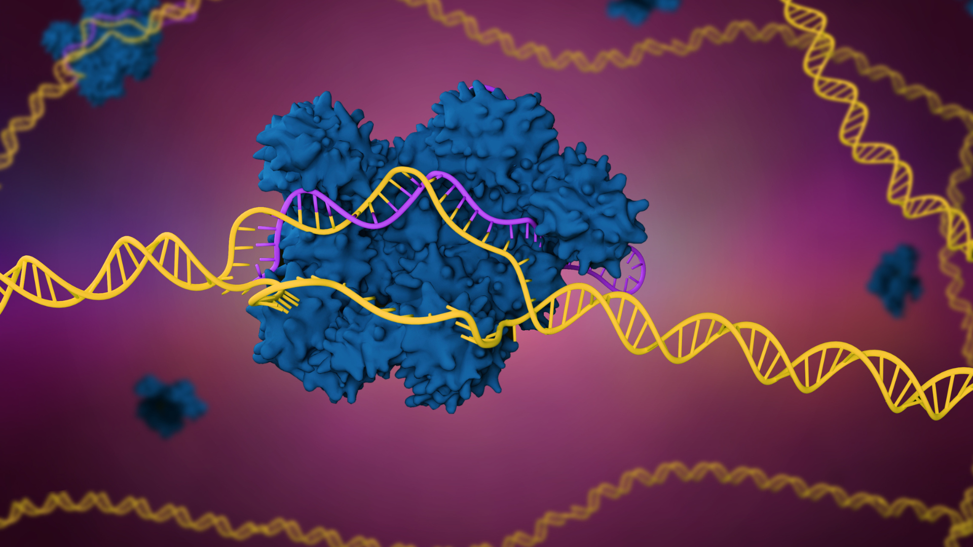 These engineered viruses are delivering DNA to E.coli instead of ...