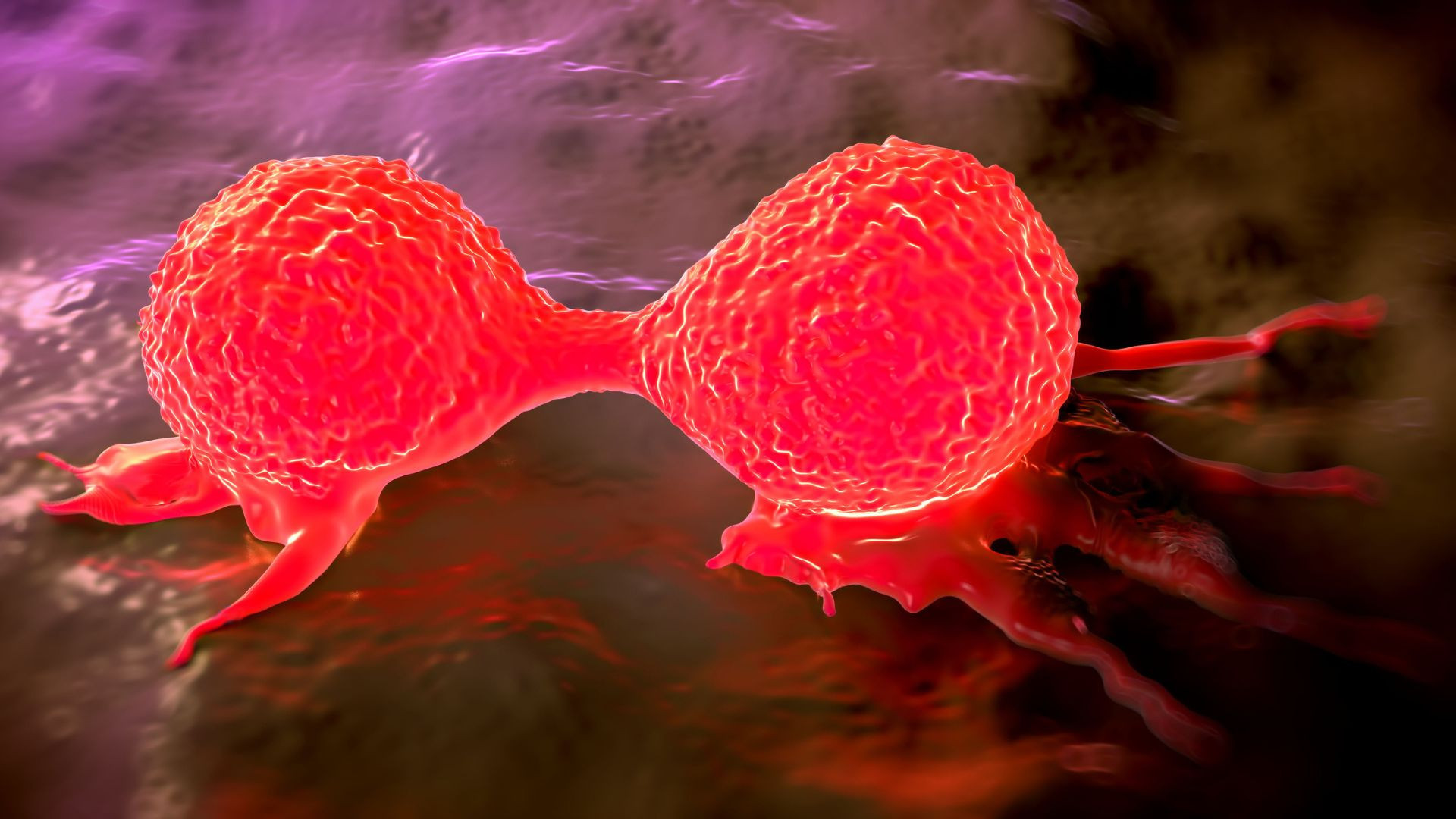 Breast cancer cells might have 'electrical language,' study claims