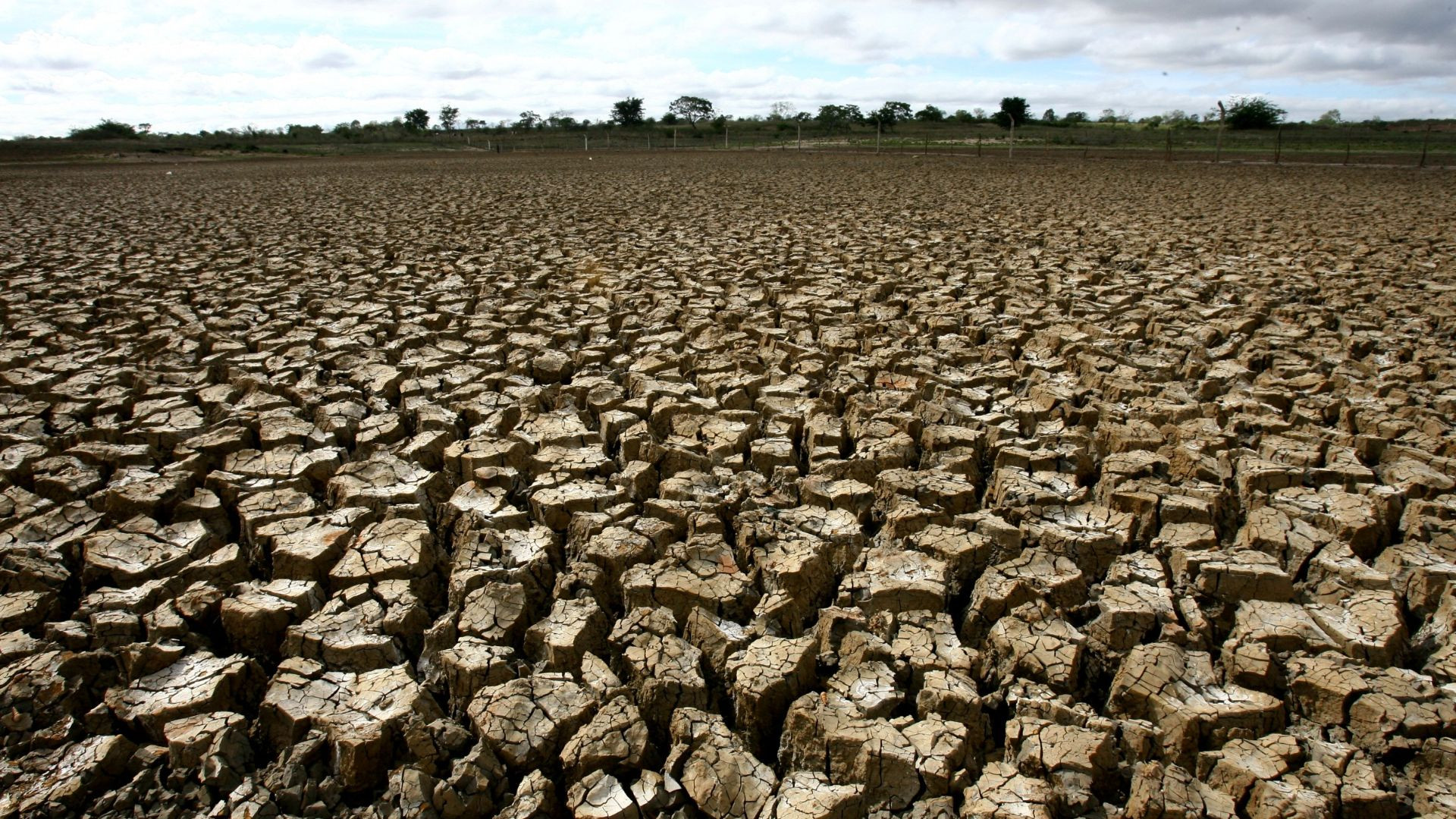 Even a small nuclear war could cause global famine — here's what the ...