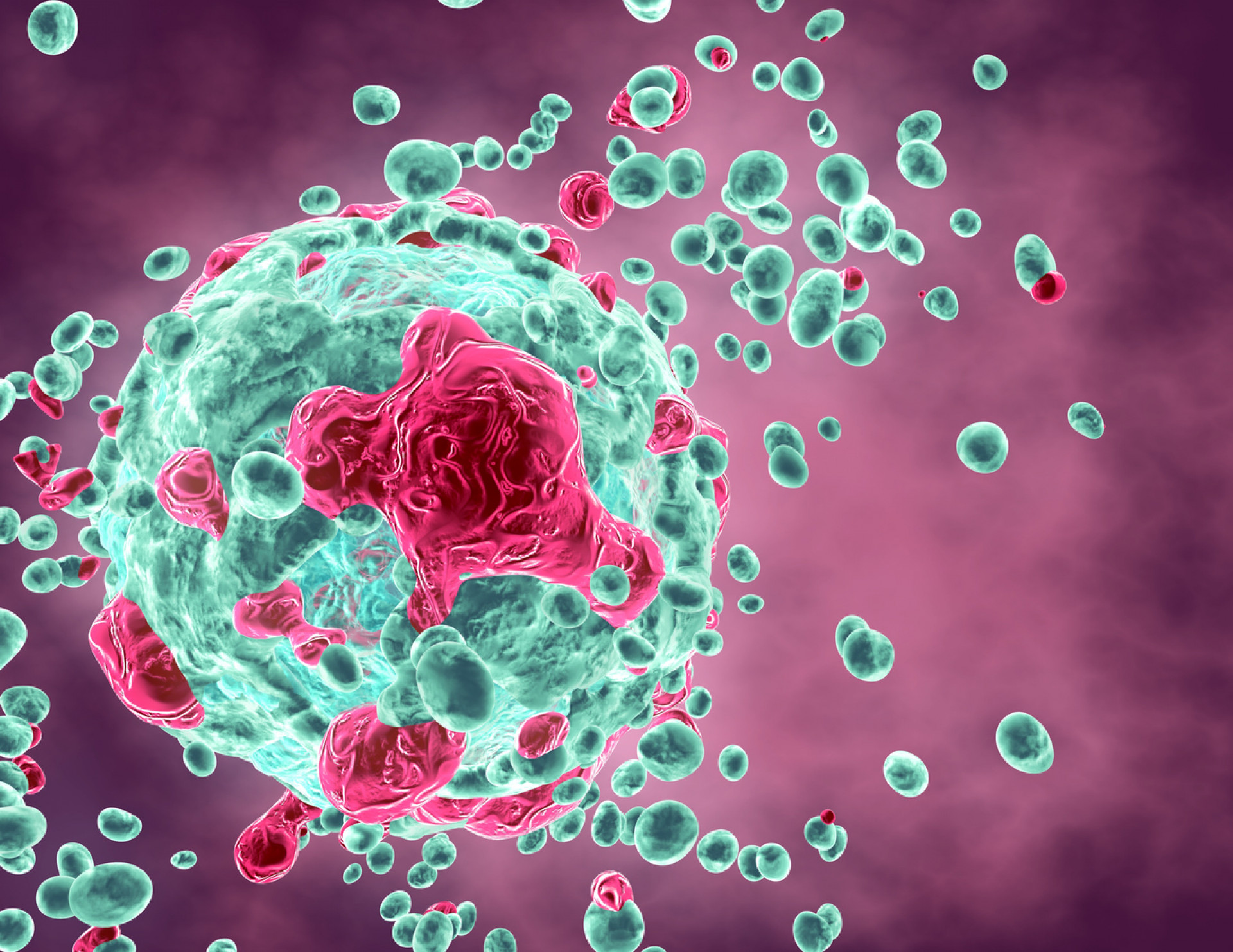A breakthrough AI can track real-time cell changes revealing a key ...