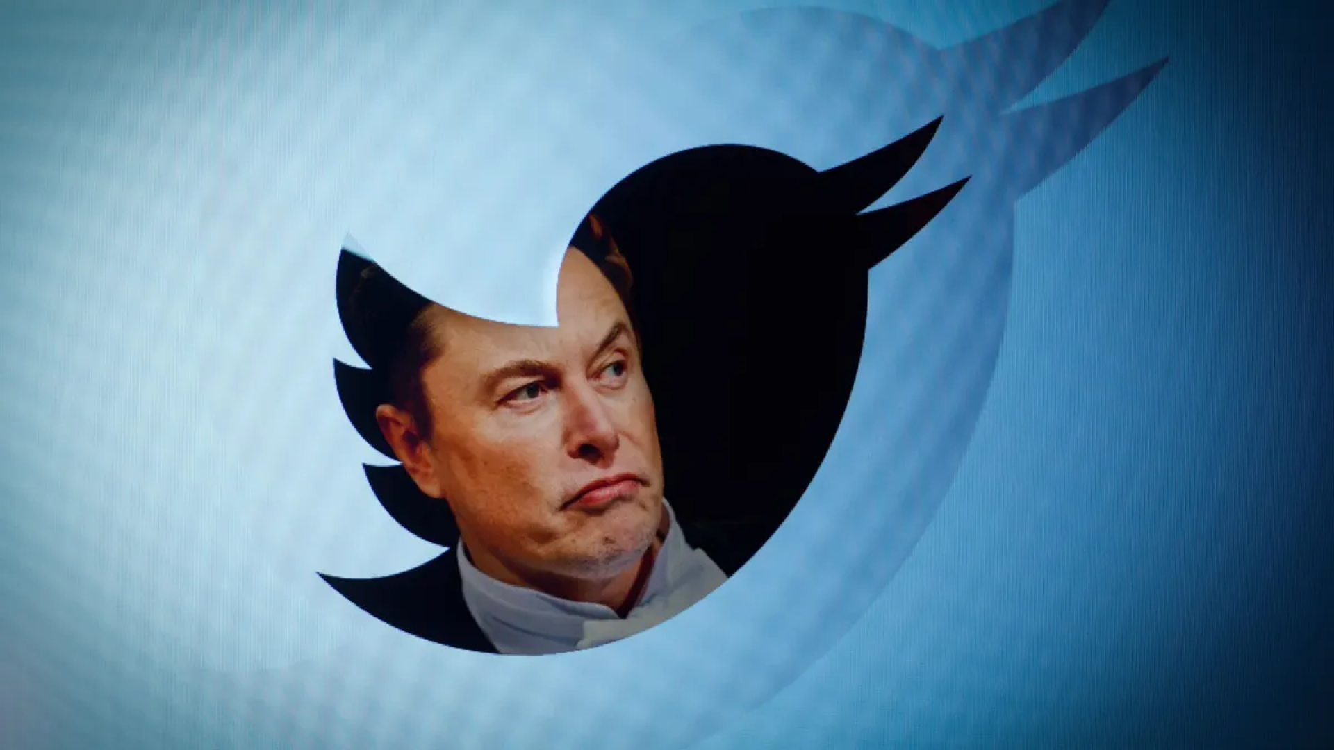 Elon Musk polls Twitter about a general amnesty for suspended accounts