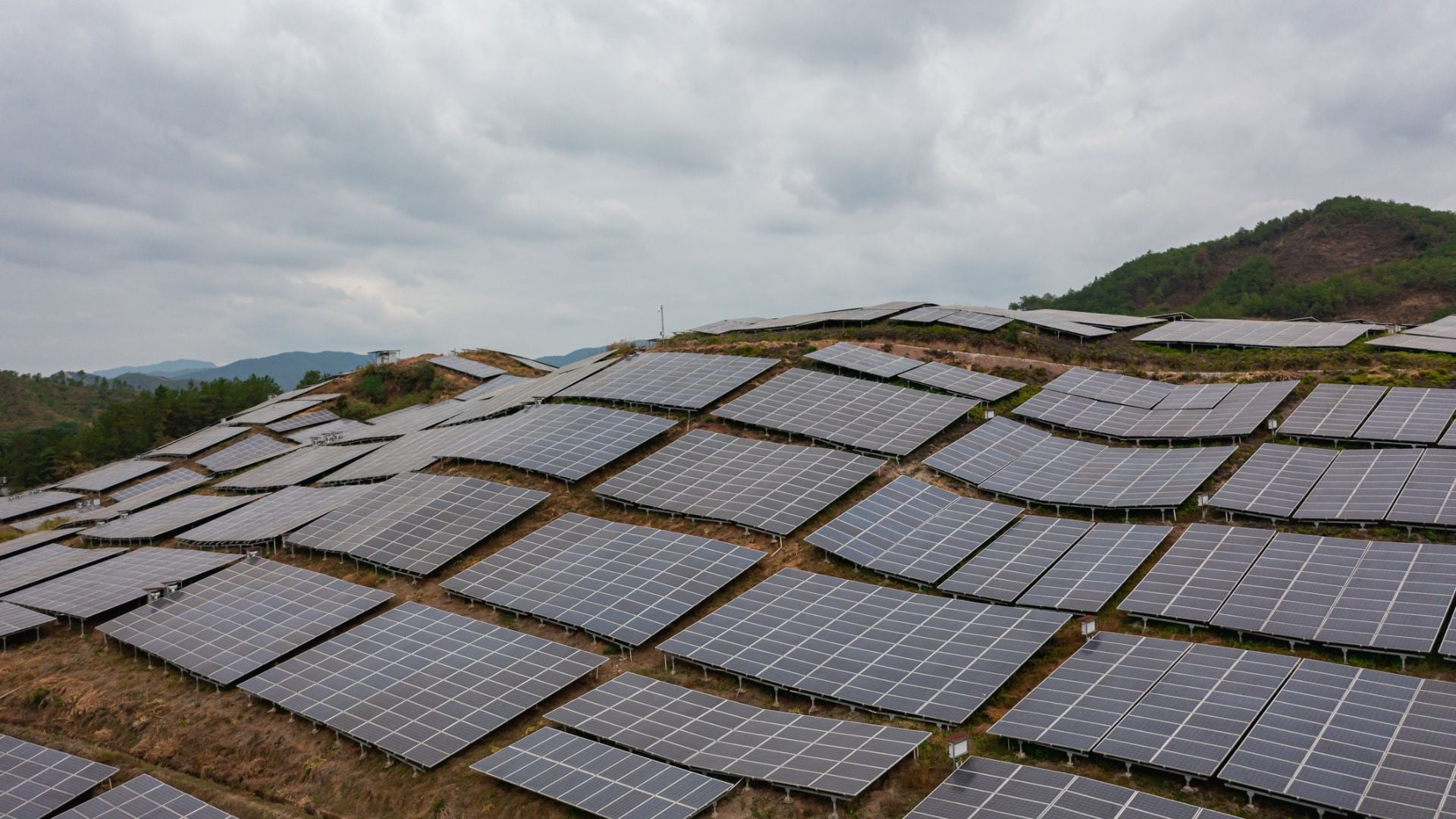 Cooling solar farms can make them more powerful - here is the proof