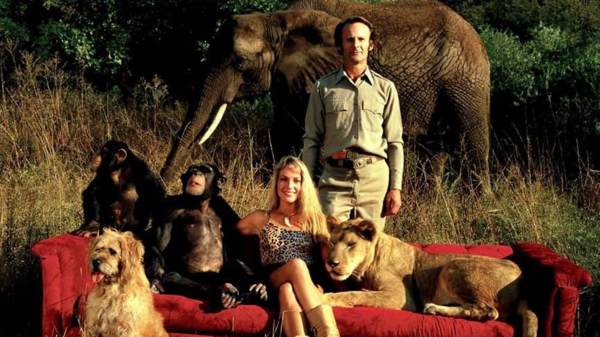 How CGI has taken animals out of the scene in Hollywood