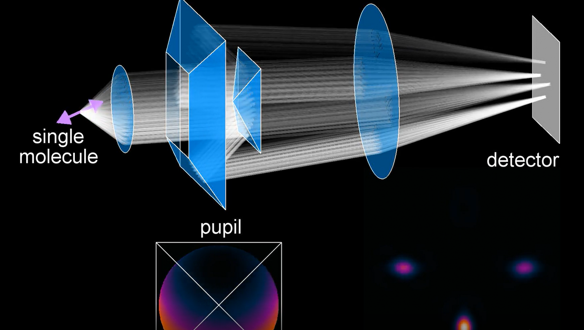 A new type of microscope inspired by James Webb sees molecules in 6D