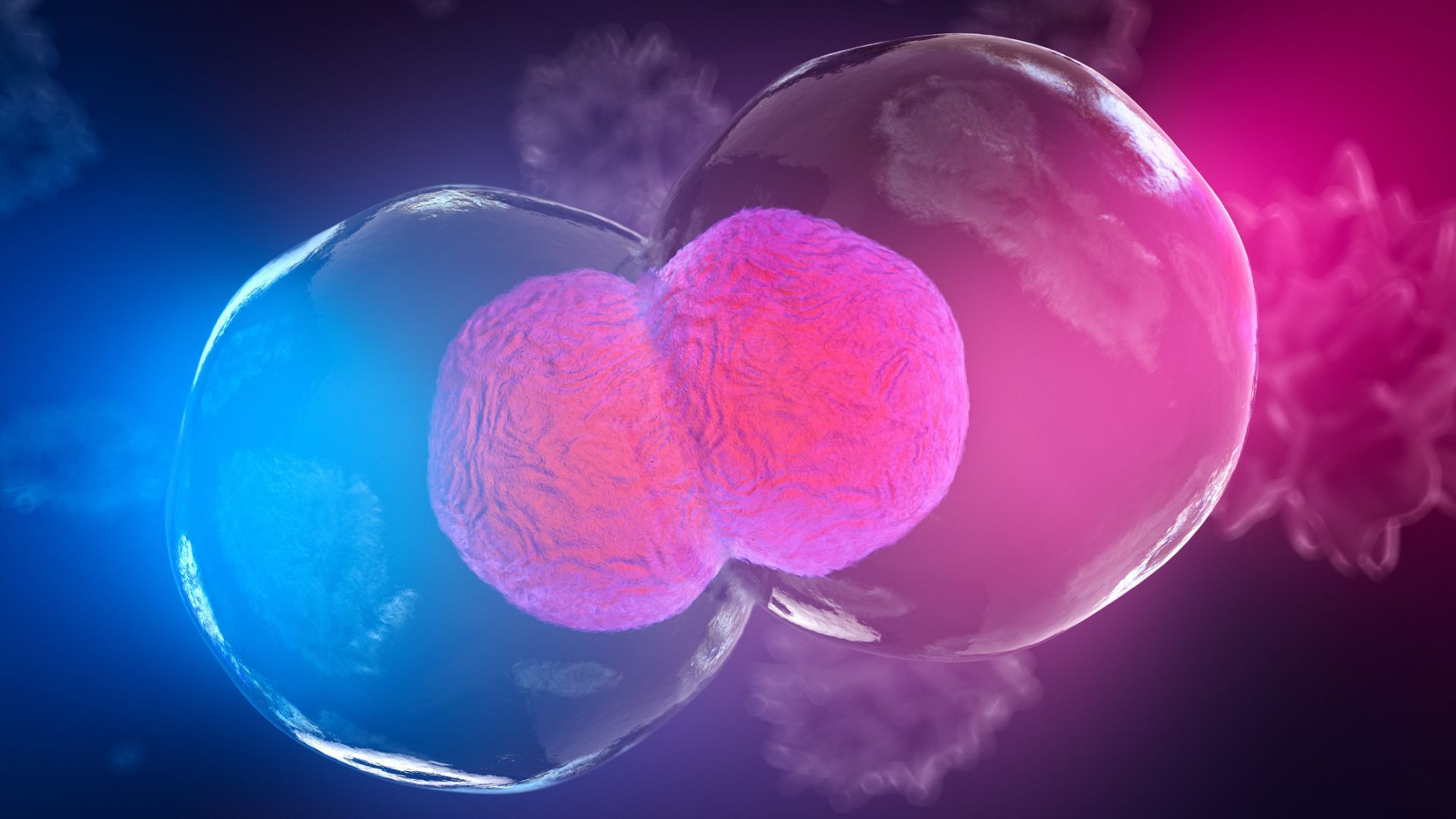 'Cellular glue' may help us finally build tissues and organs