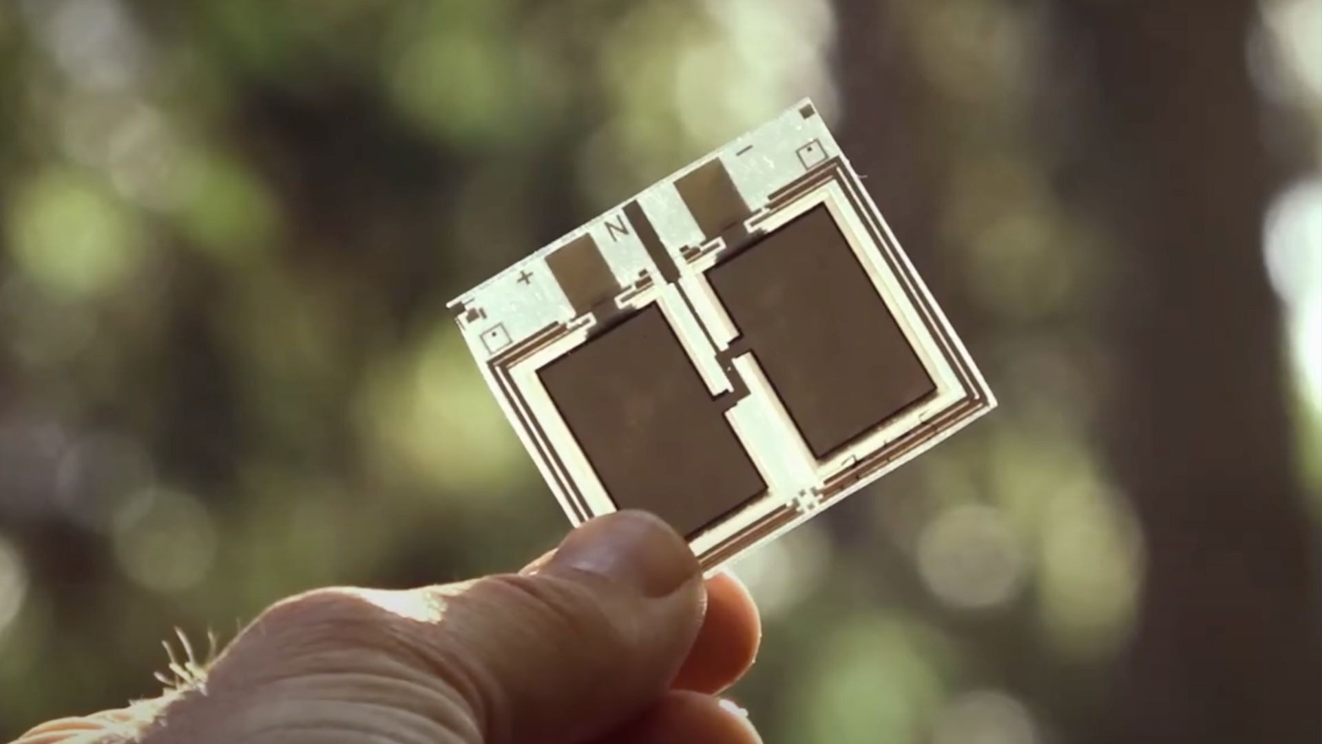 Wood battery: Is this the future of energy?