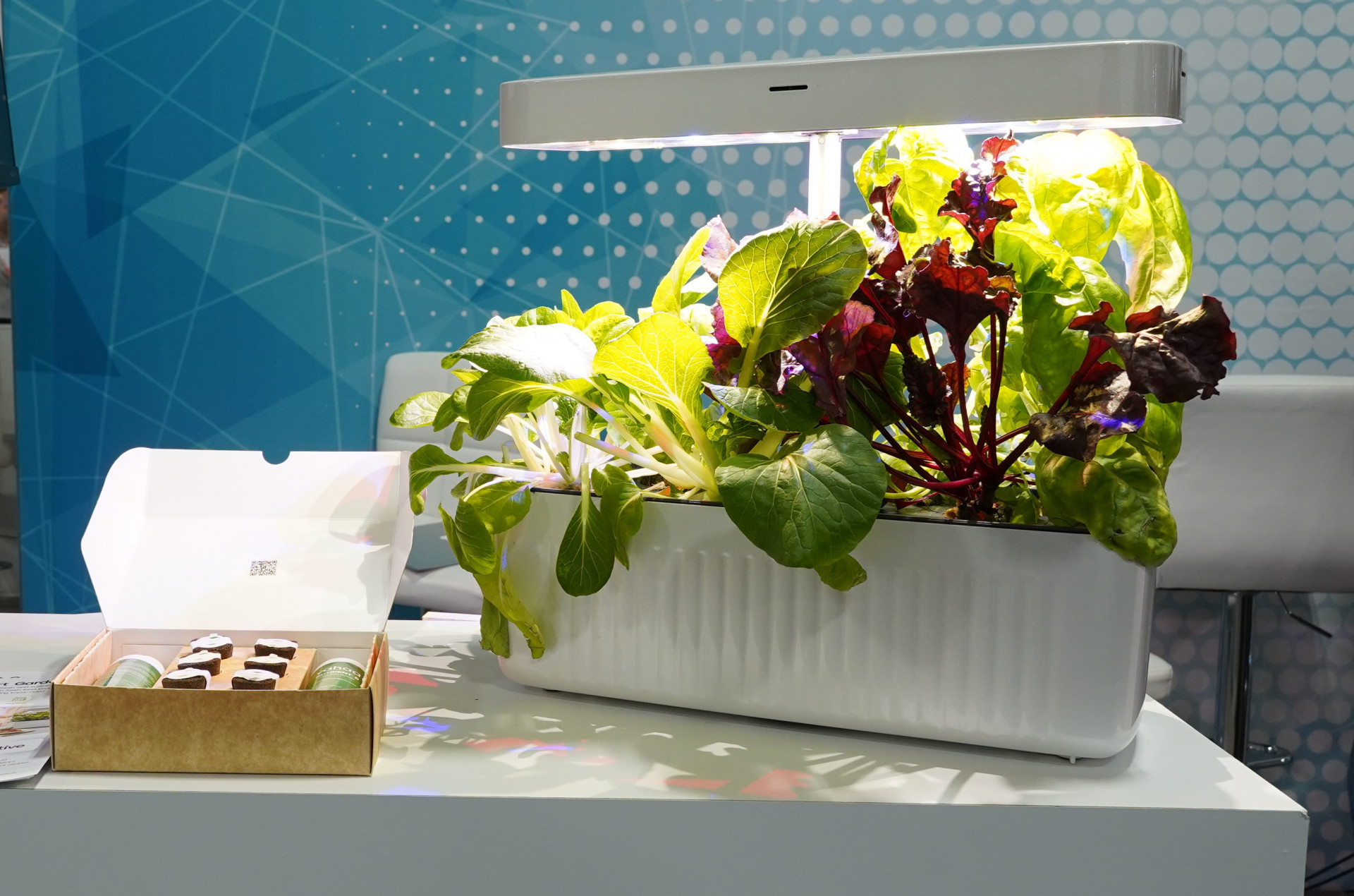 Transform Your Home into an Oasis with This Smart Garden Technology