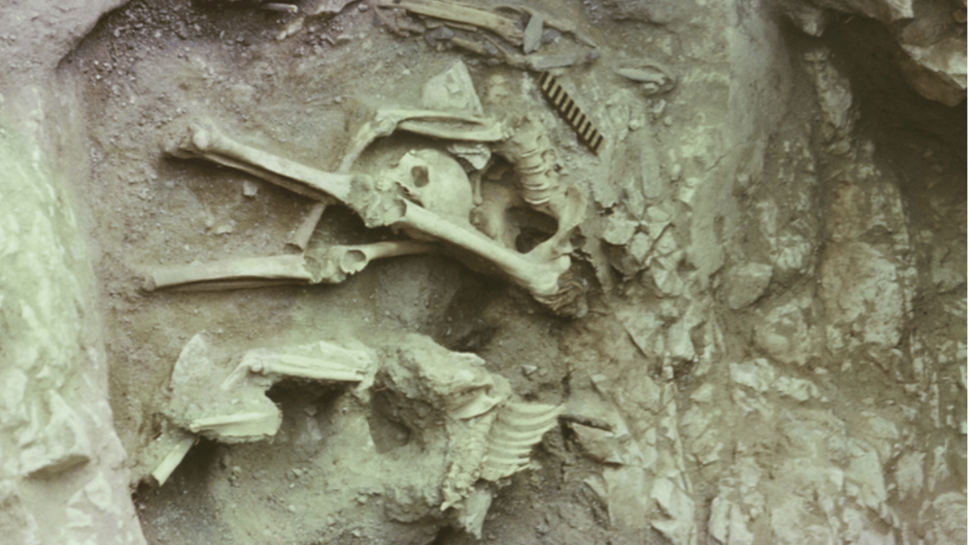 An unknown Siberian community abruptly disappeared, new study finds