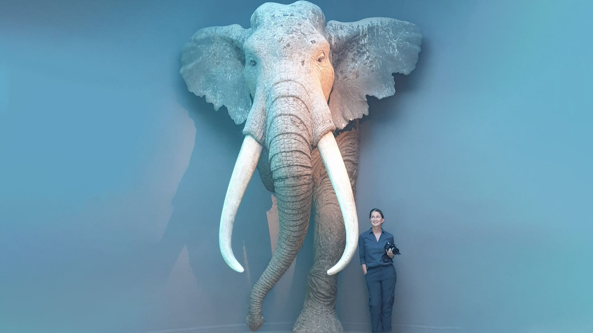Neanderthals butchered 10-ton giant elephants to feed themselves