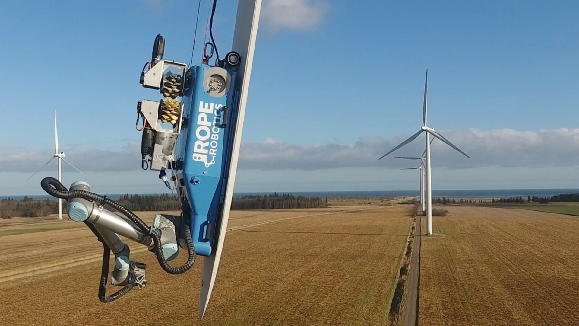 Danish firm to incorporate AI into its blade maintenance robot