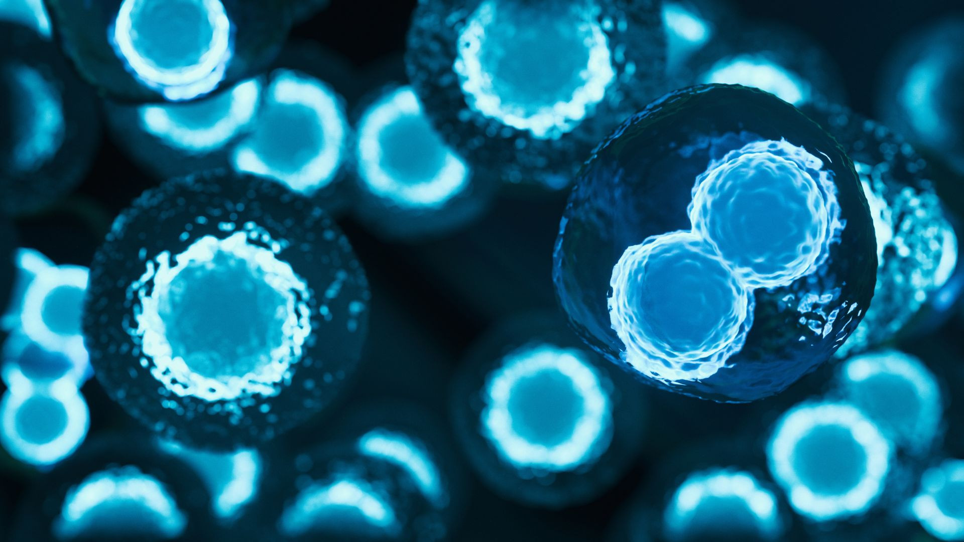 Stem Cell Therapy For Leukemia Has Been Shown To Suppress Hiv