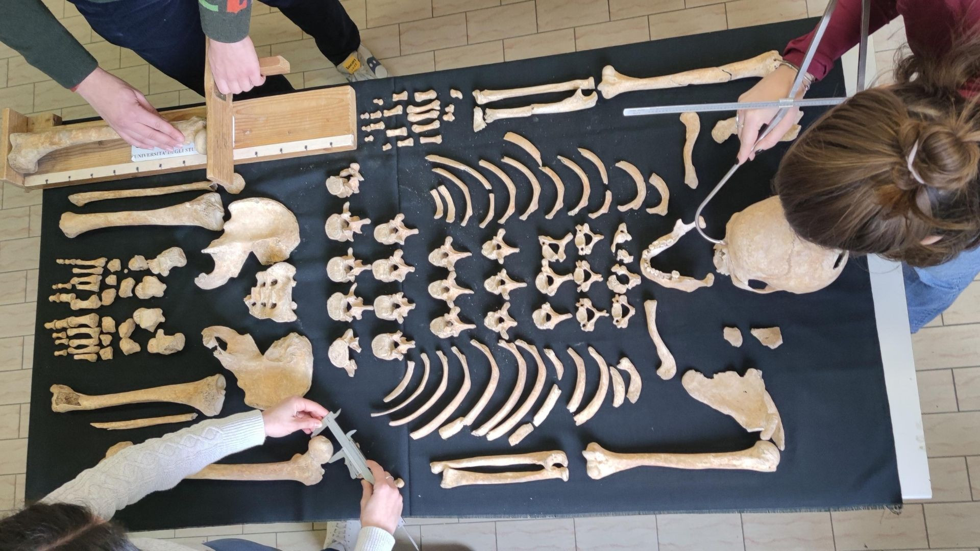 Human height in Milan hasn't changed since the Roman era, finds study