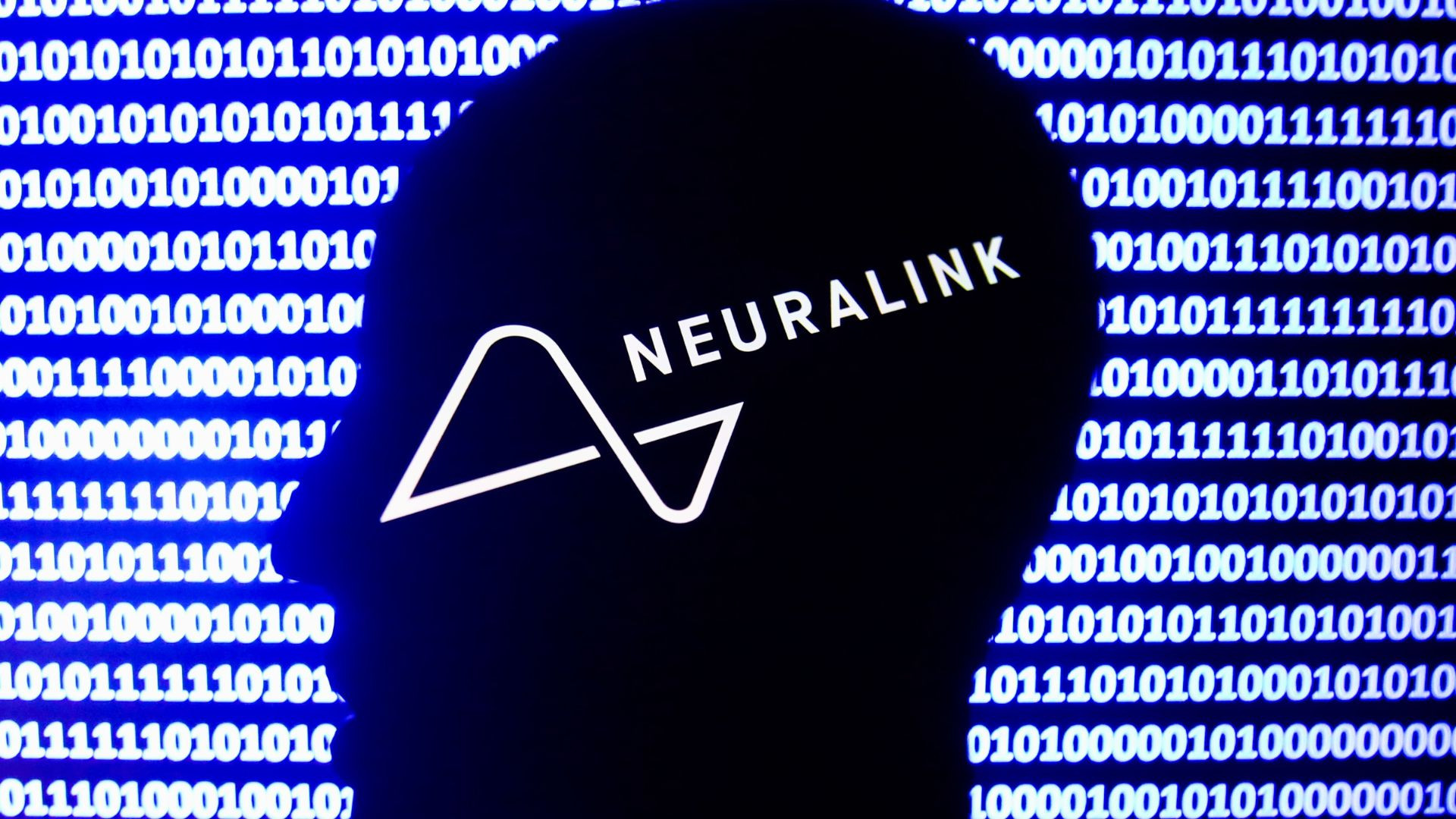 Neuralink was reportedly denied FDA authorization to start human trials