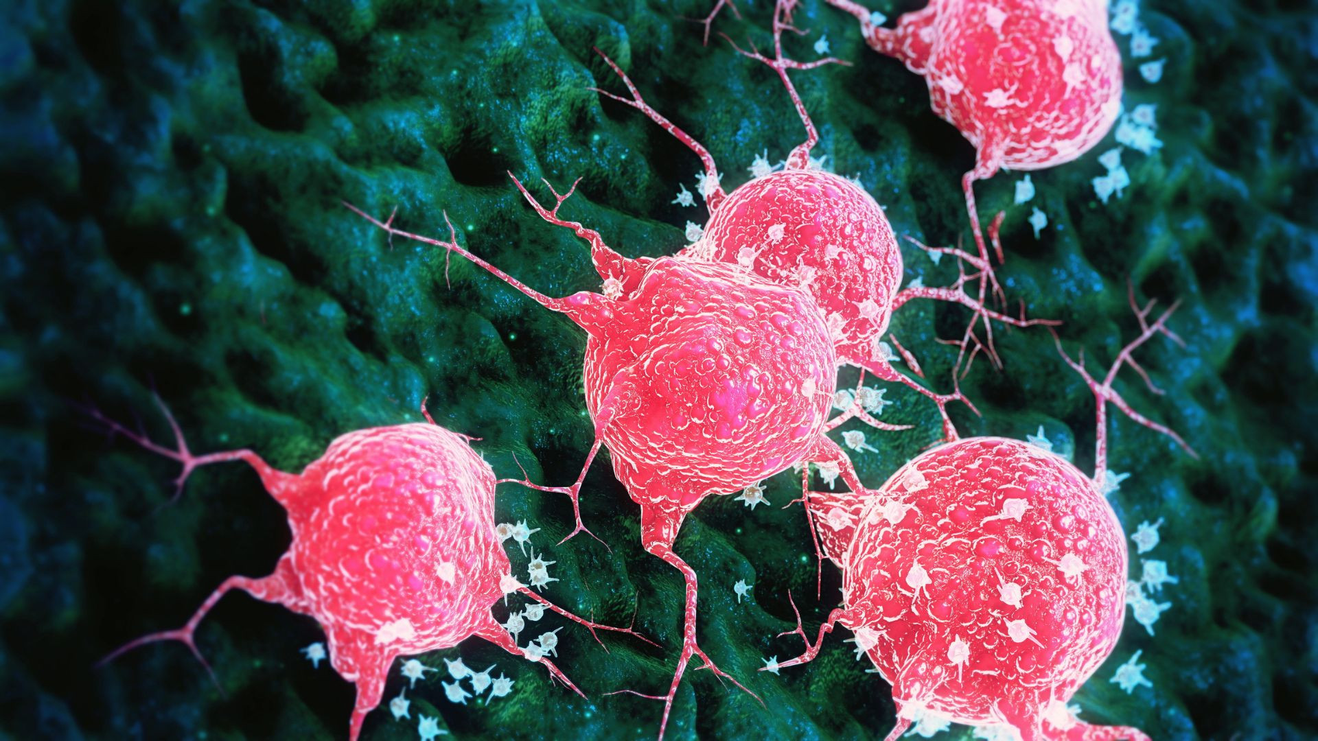 Protein that triggers cancer metastasis could be new treatment target