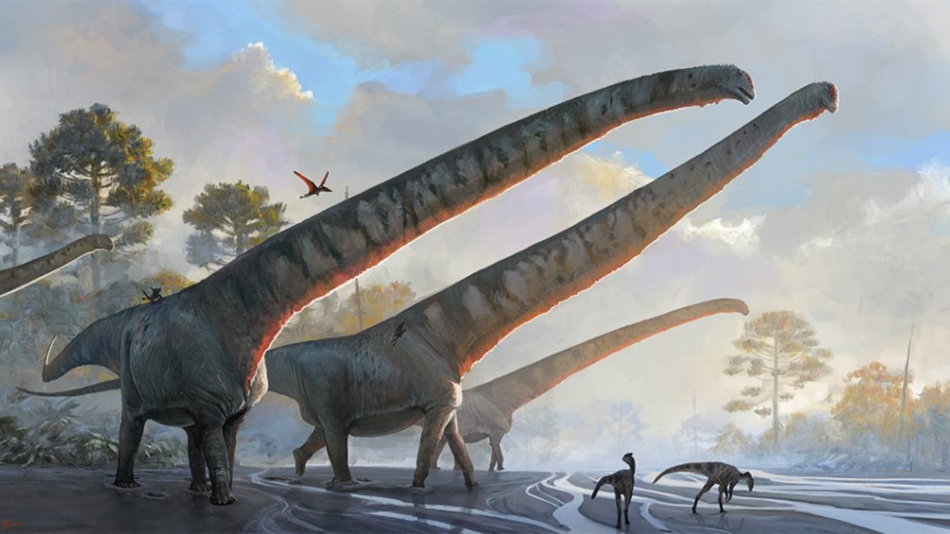 China fossil reveals giant dinosaur with neck longer than school bus