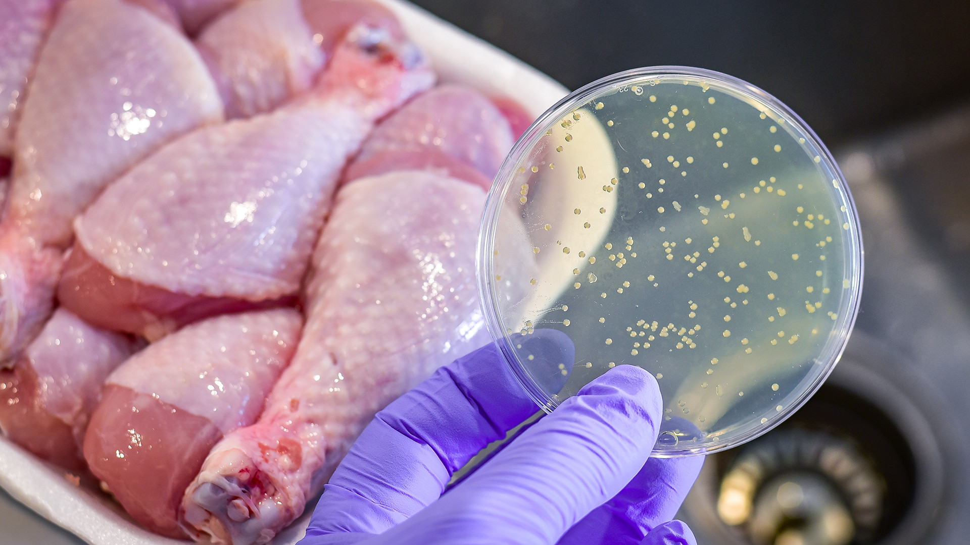Study finds meat bacteria behind half a million UTIs in the US every year