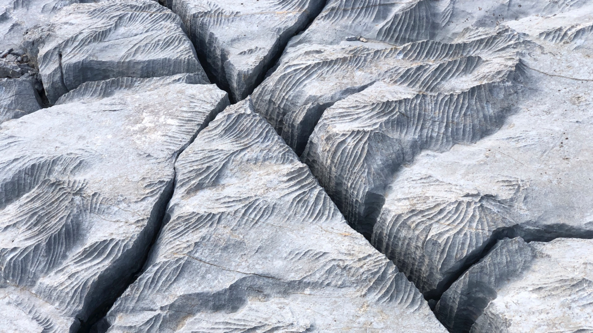 Earth's oldest known crystals offer clues on the origin of tectonics