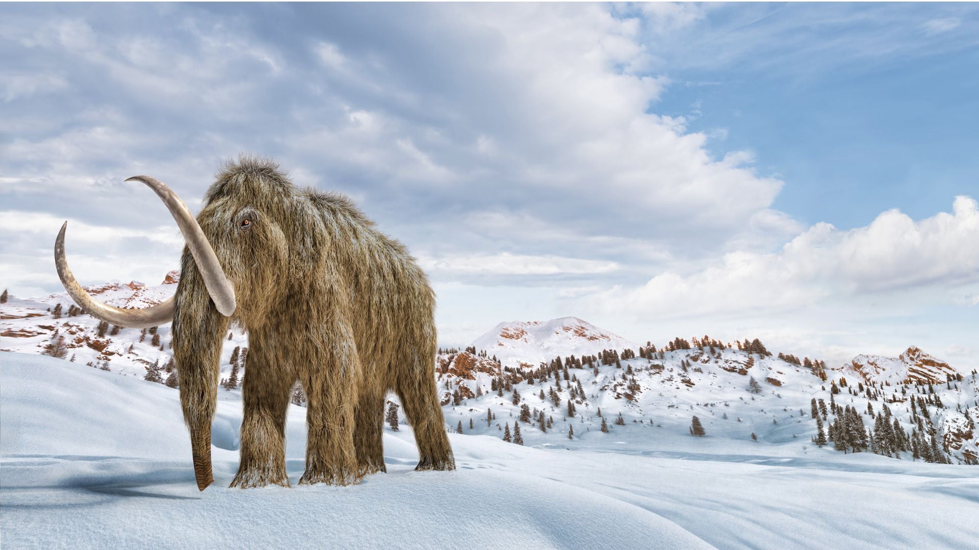 Uncovering the woolly mammoth's unique traits: A comprehensive genetic ...