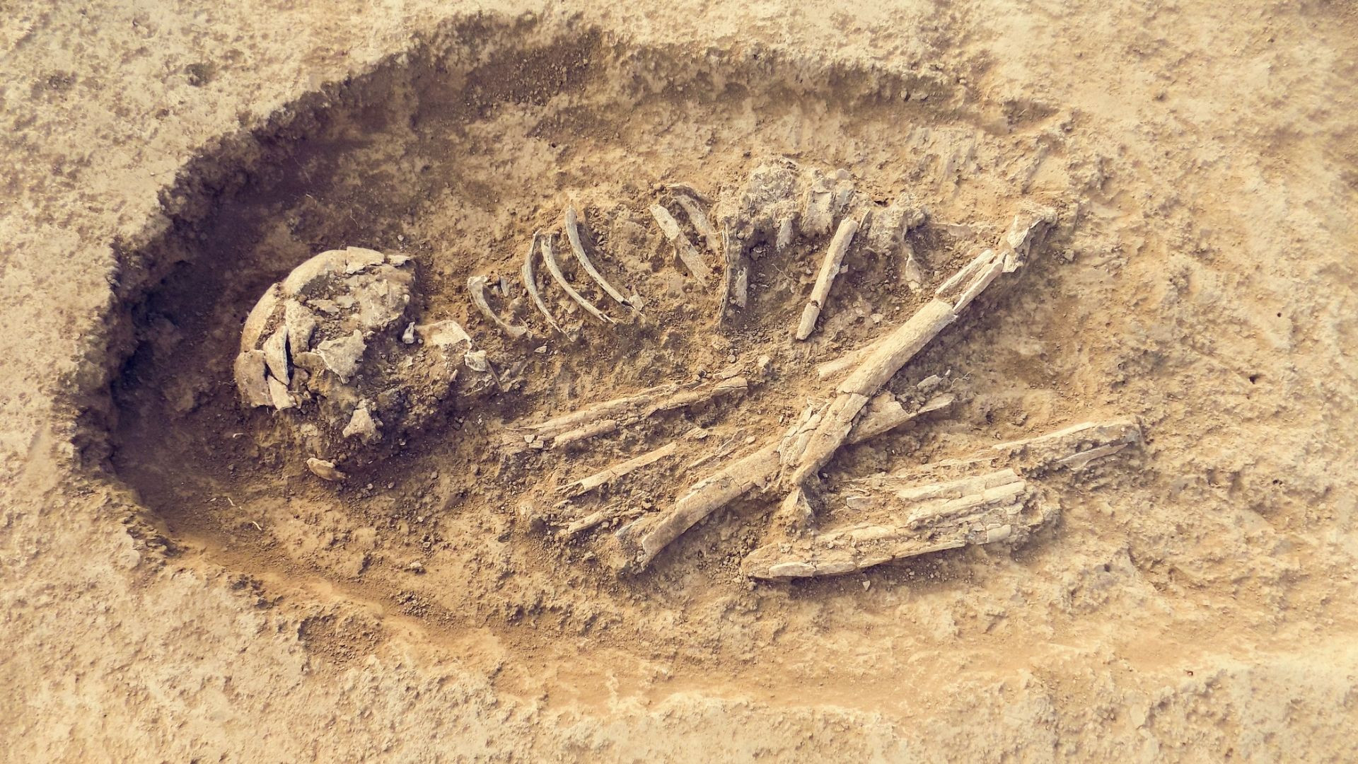 Novel collagen mapping method makes invisible ancient bones visible