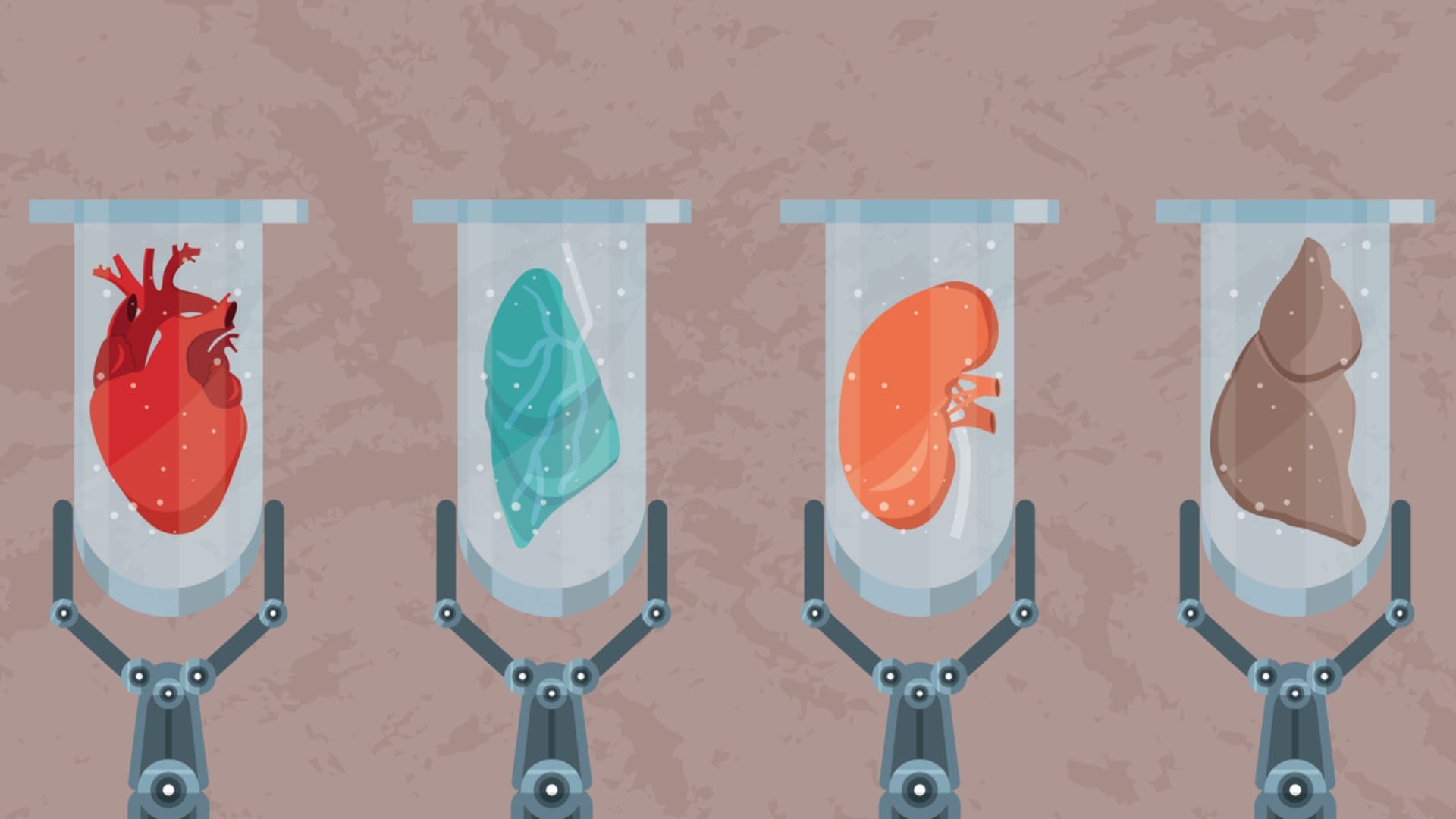 Lab-grown mini organs promise quick vaccine testing with fewer animal ...