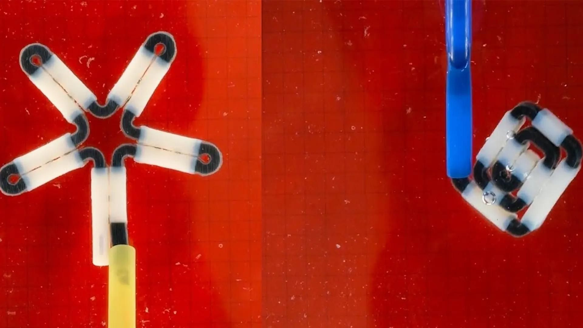 Revolutionary surgical breakthrough: Minimally-invasive tools assemble ...