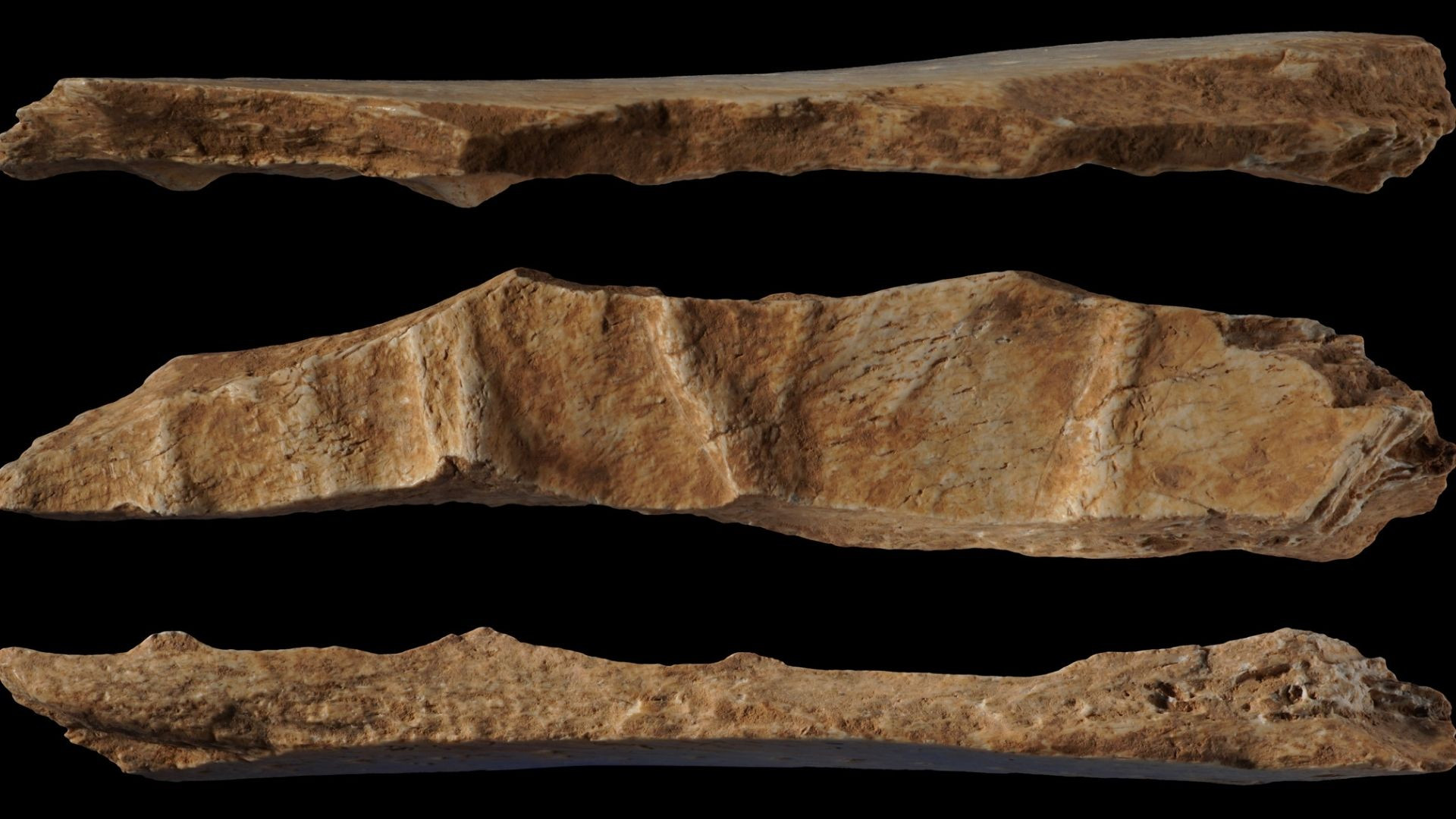 Study suggests early humans sported leather clothing nearly 39,000 ...