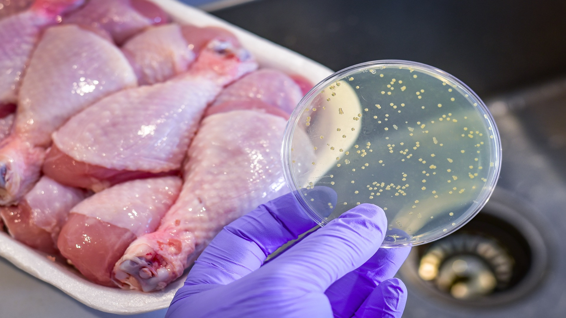 Scientists discover a better way to test the presence of Salmonella in food