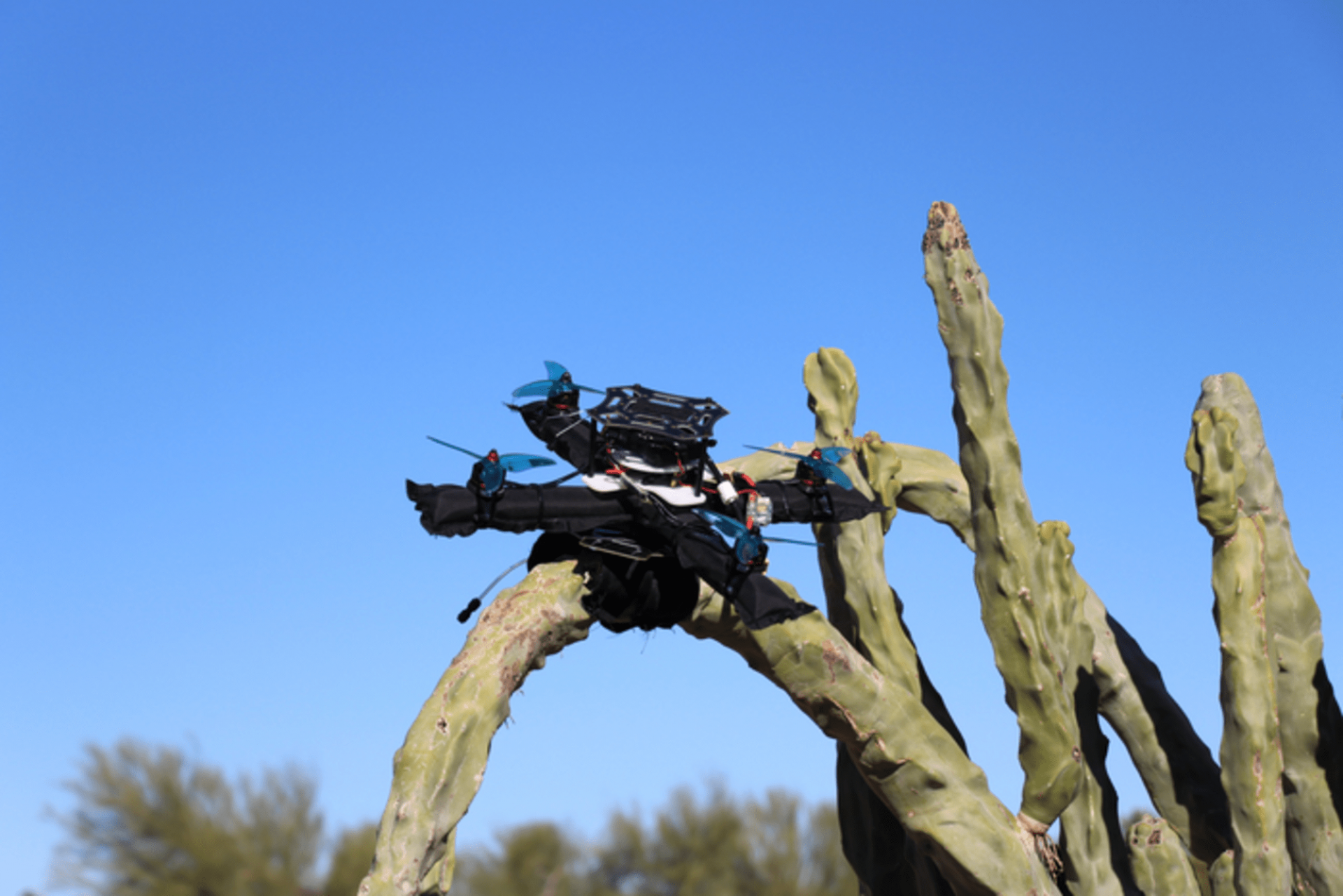 'Built to Bounce Back': Collision-tolerant drone developed for search ...