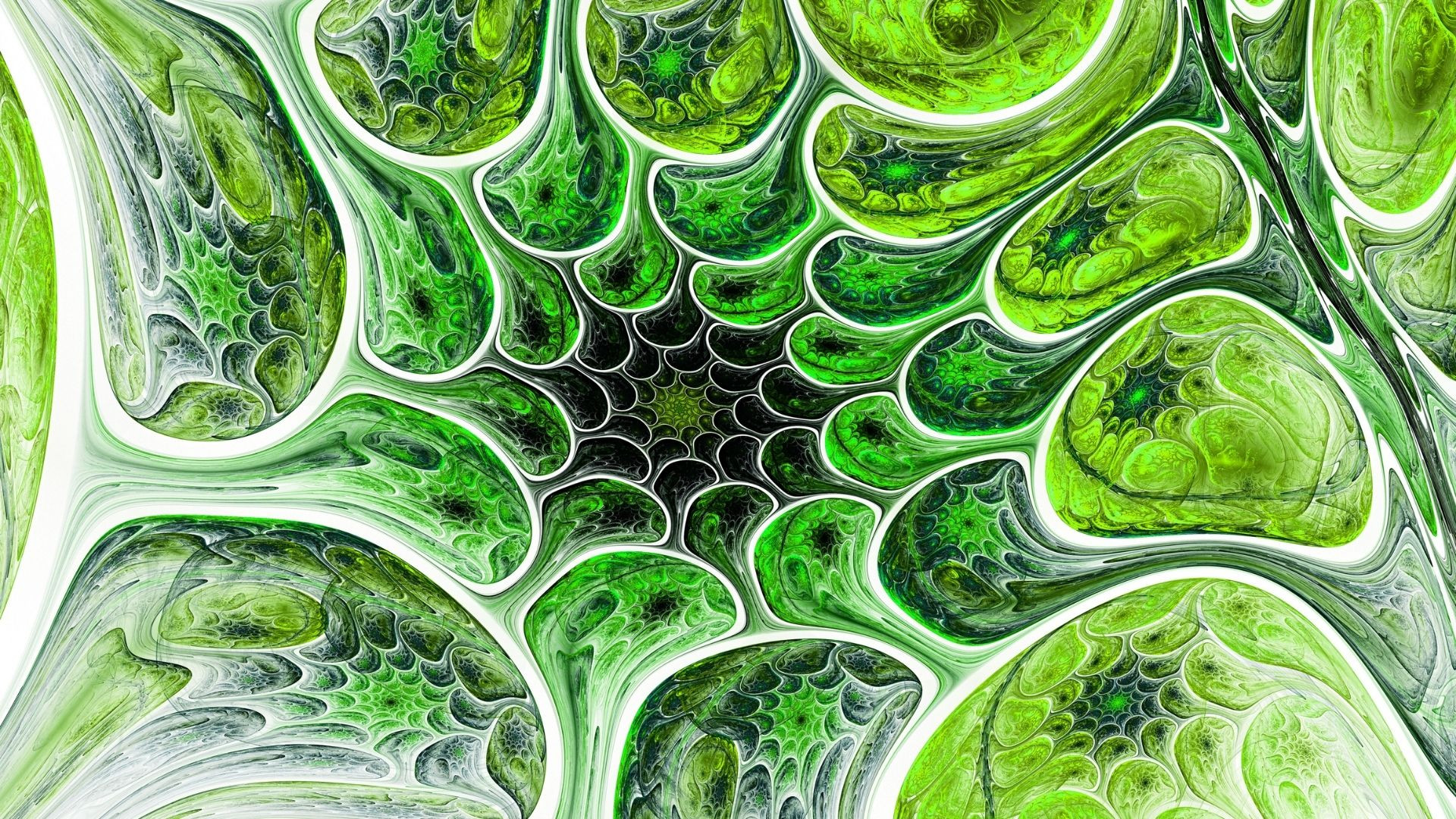 A secret bacteria component can protect our crops against climate change
