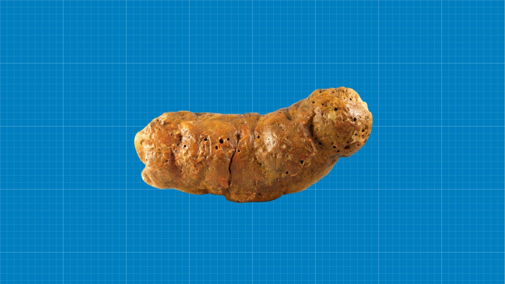 Ancient poo provides clues to multiple waves of extinction in Colombia