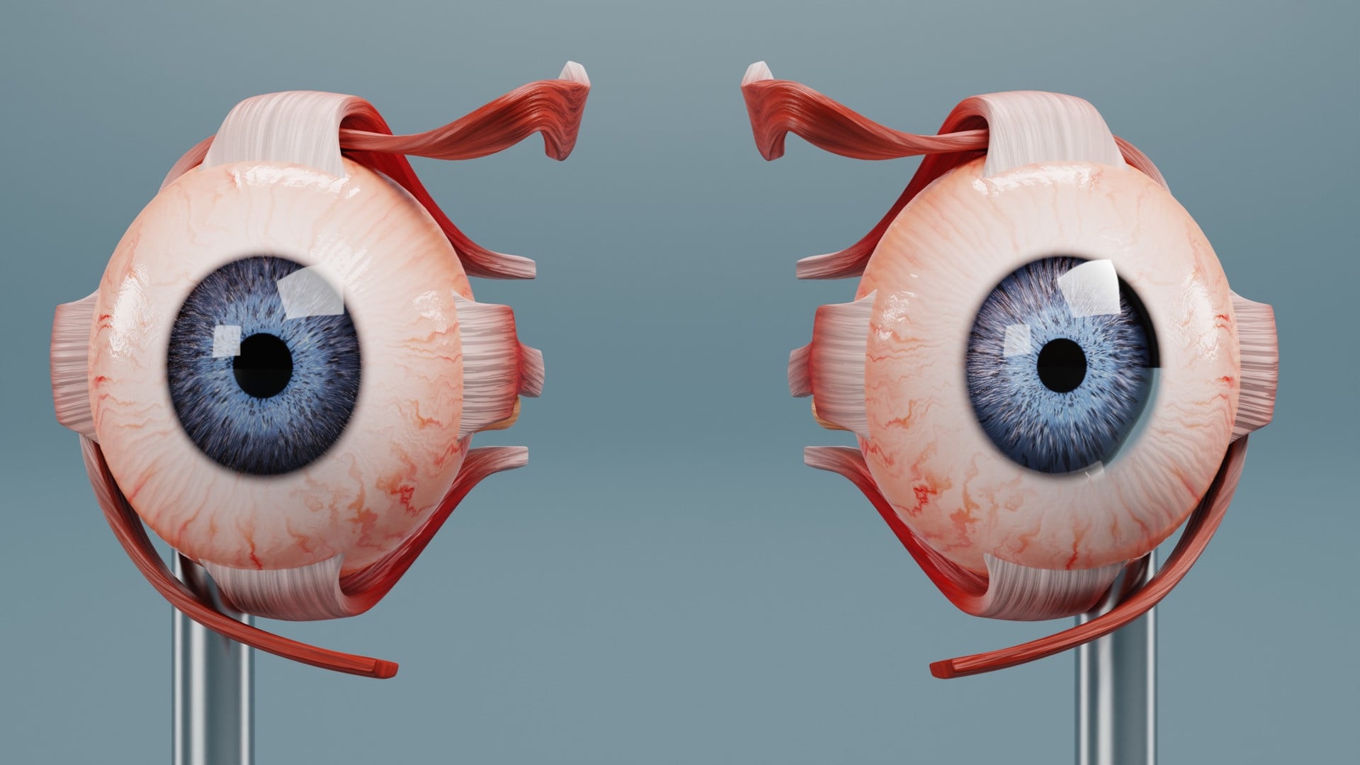 Scientists identify genes that can repair the retina and reverse vision ...