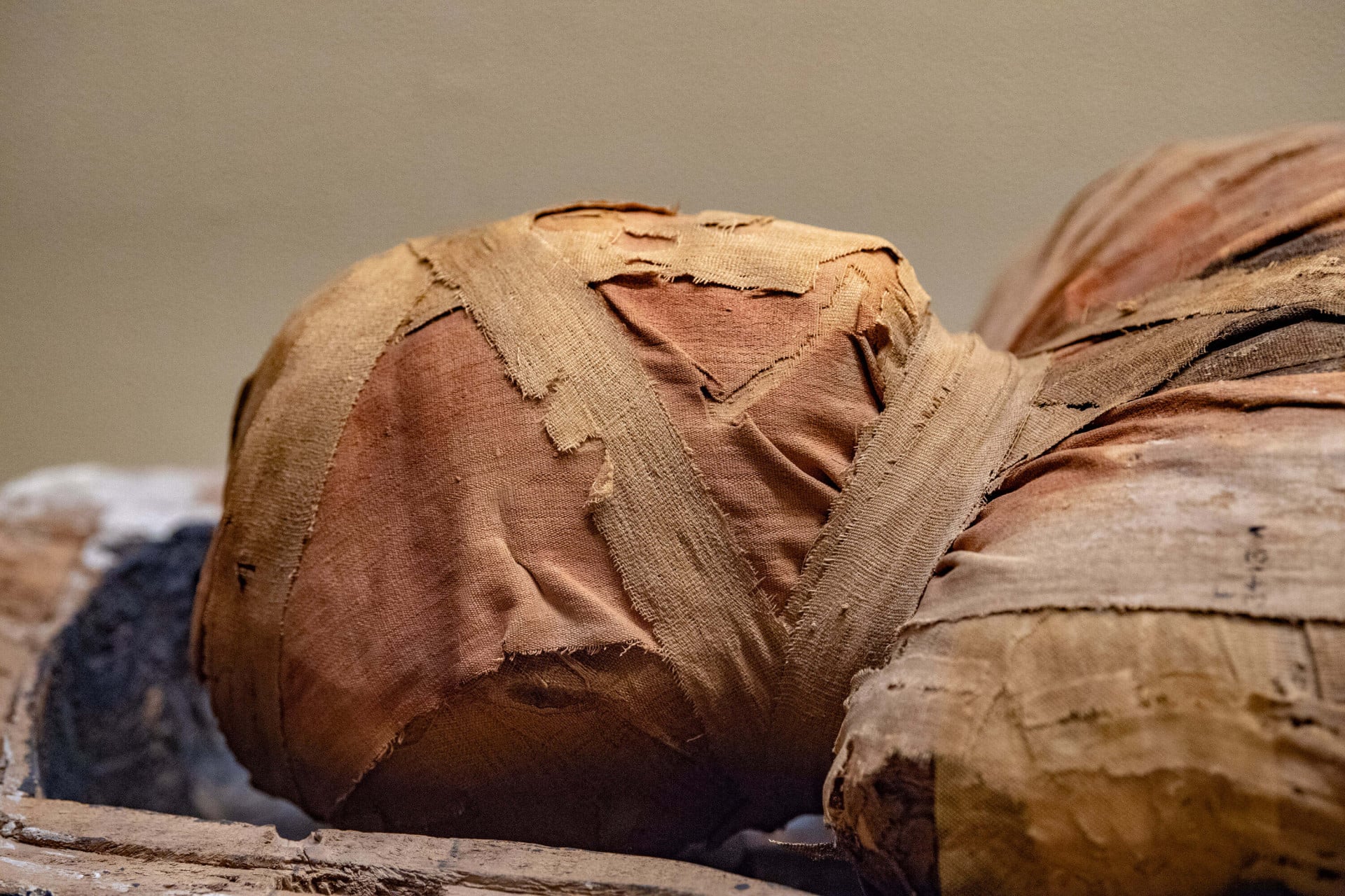 The mummy's curse finally revealed: It's a deadly fungus