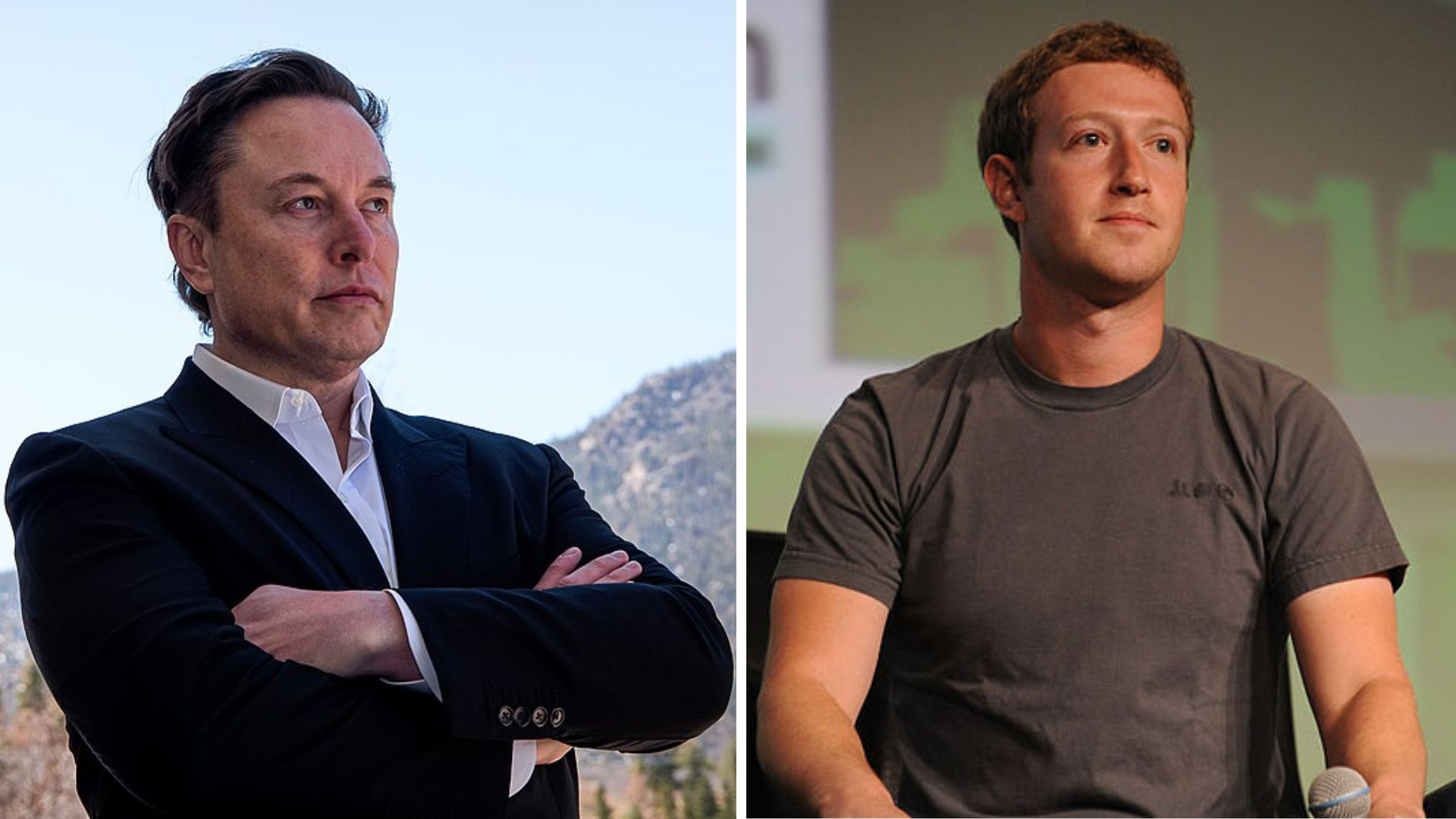 Twitter vs. Meta: Elon Musk plans to take on WhatsApp, Instagram with ...