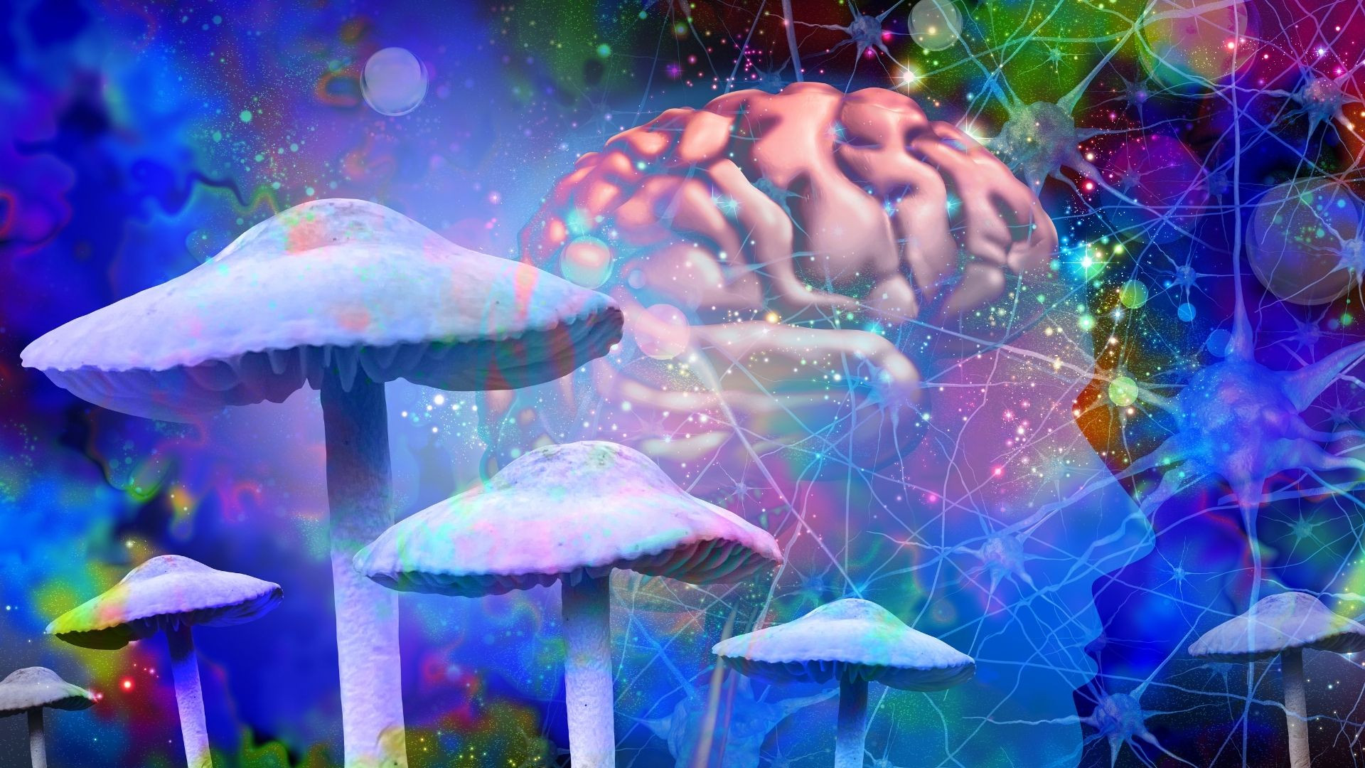 The fascinating world of psychedelics: Exploring their history, effects ...