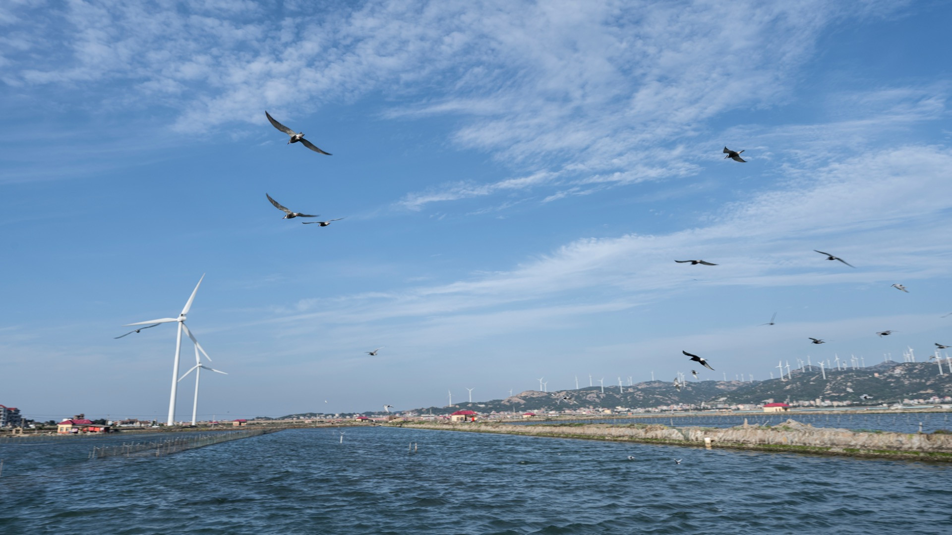 For the first time ever, offshore windmills shut down to give way to ...