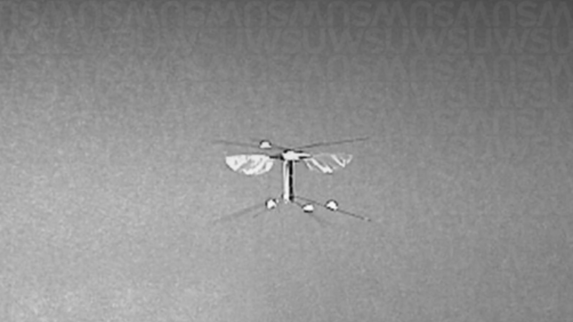 WSU researchers develop robotic bee that can fly like real bees