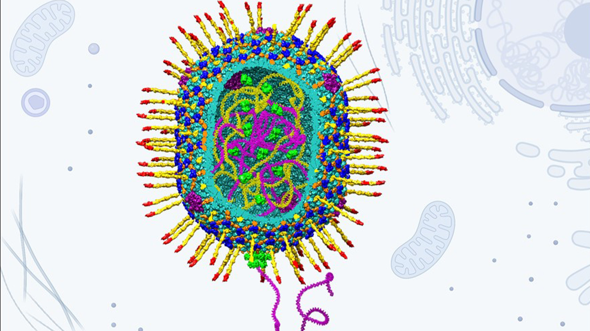 These funky nanoparticles resemble viruses but work like life-saving ...