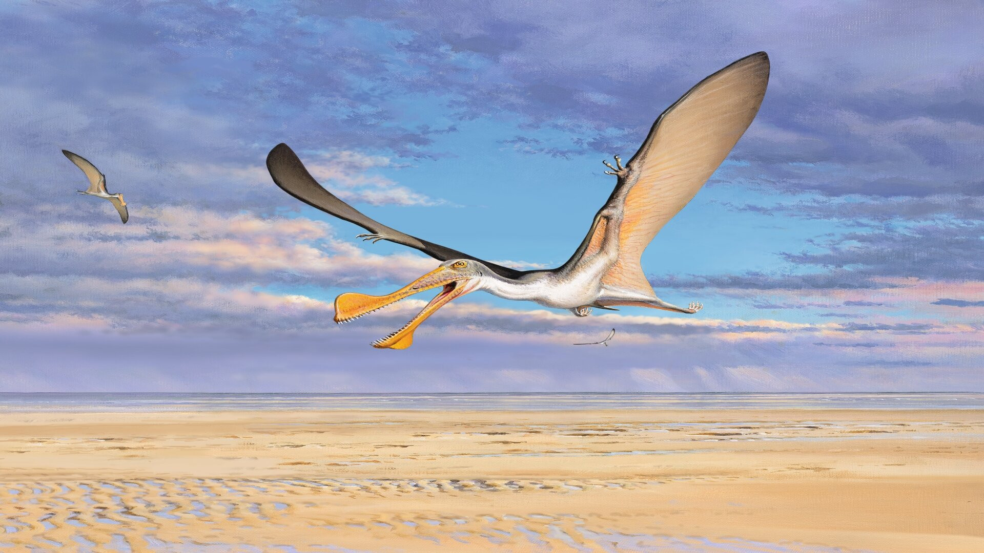 Oldest pterosaur fossils found in Australia date back to 107 million years
