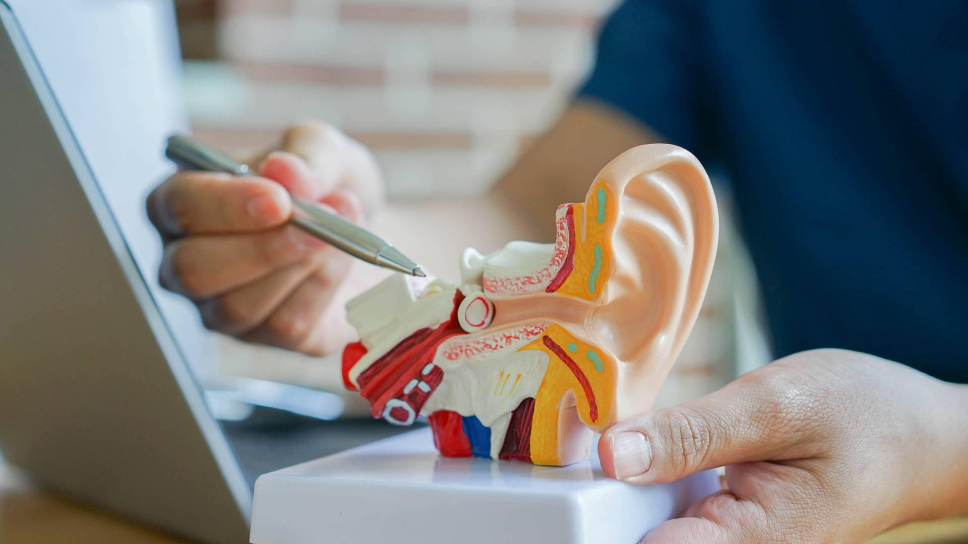 Scientists invent artificial cochlea to boost performance of hearing aids