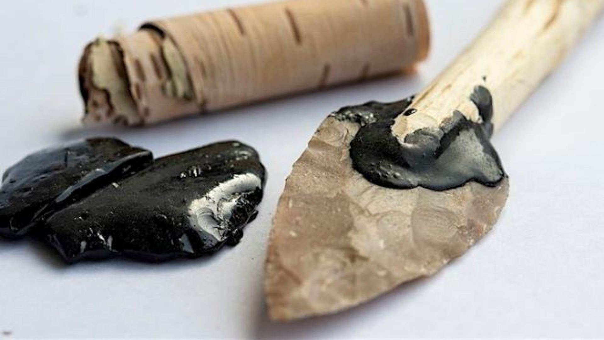 Advanced birch tar production of Neanderthals reveals their cognitive ...