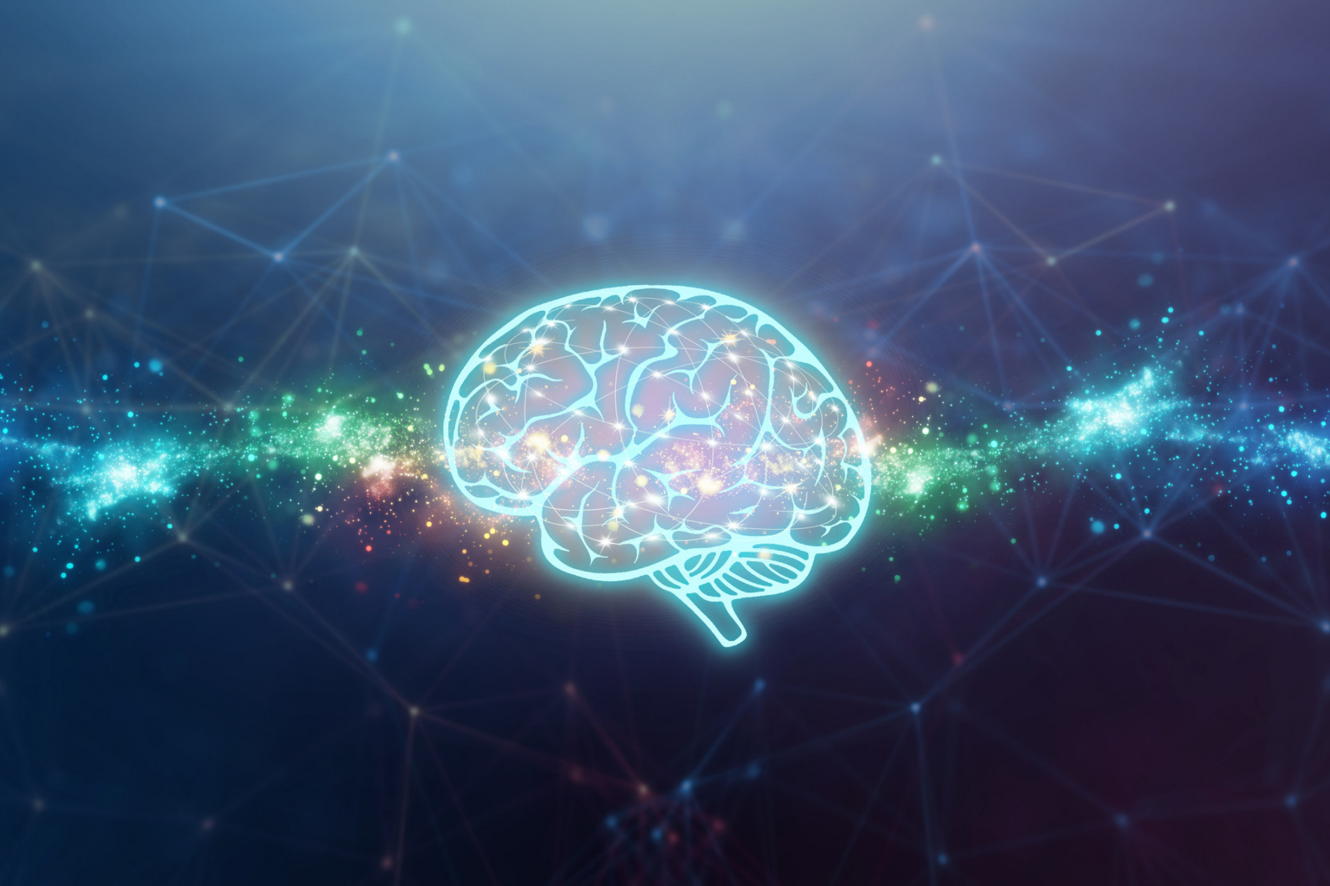 Brain Shape's surprising impact on thoughts and behavior, study reveals